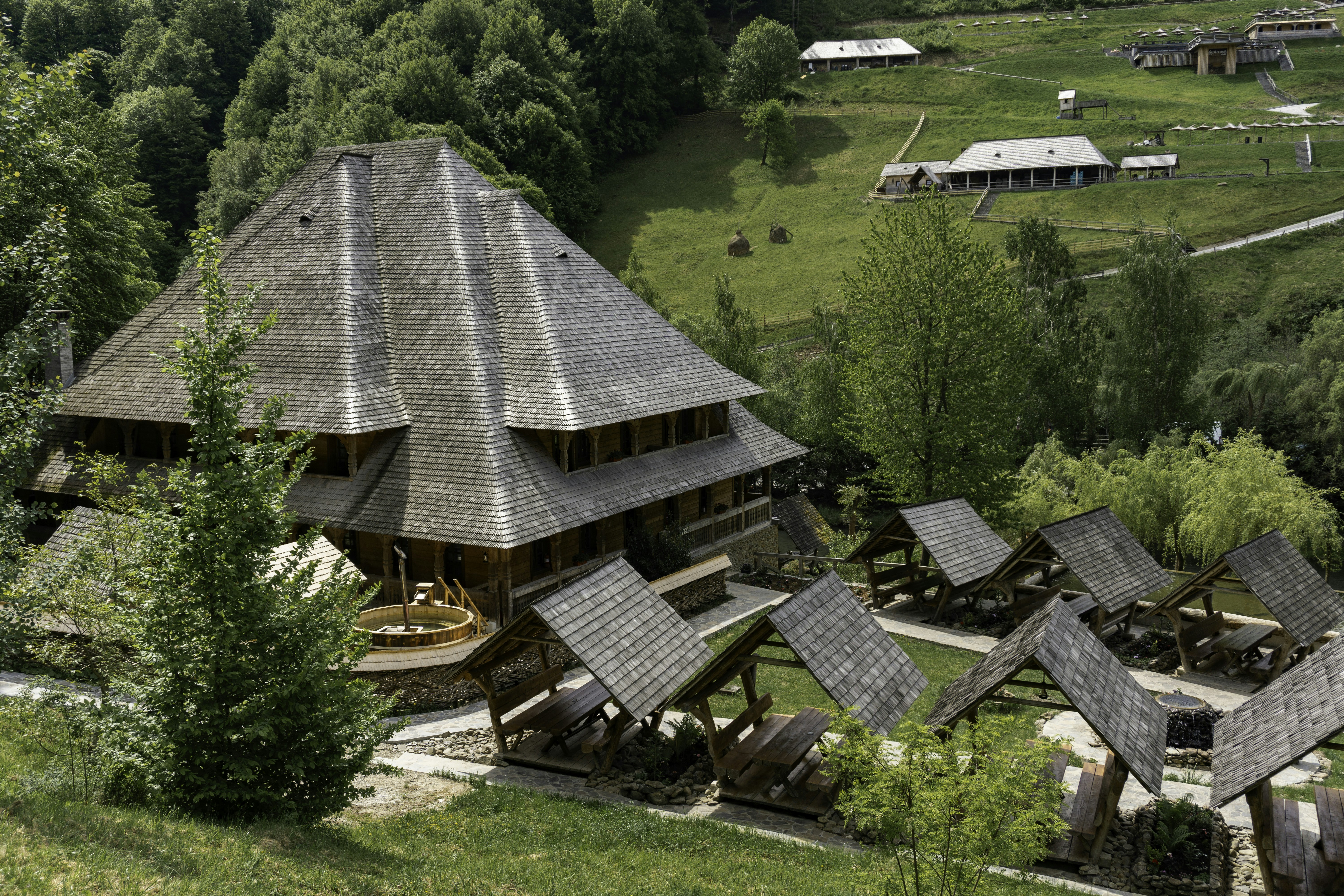 Photo by Lucut Razvan with Sony Alpha 6000