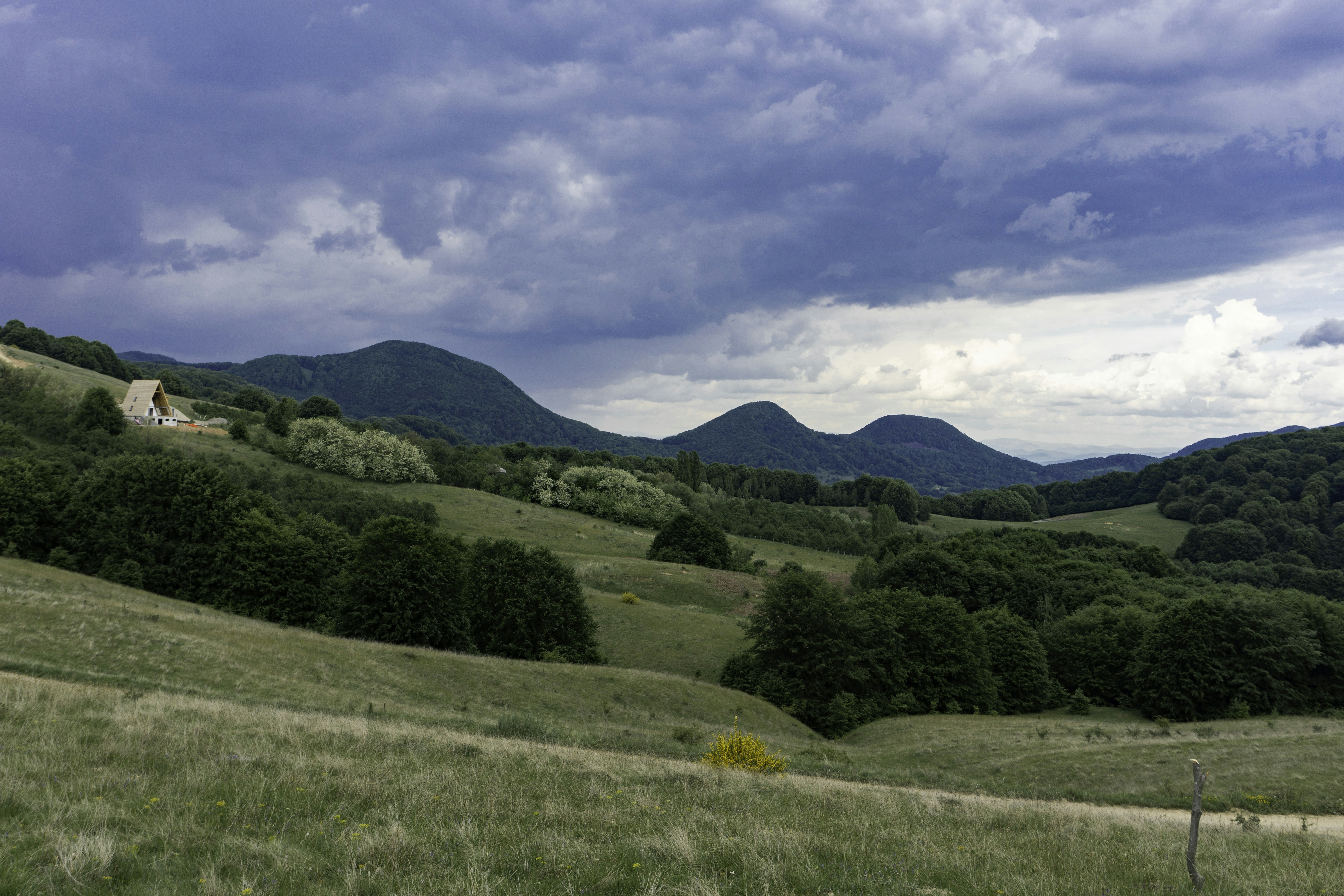 Lucut Razvan (@l_v_razvan) | Comunidad de fotos de Unsplash