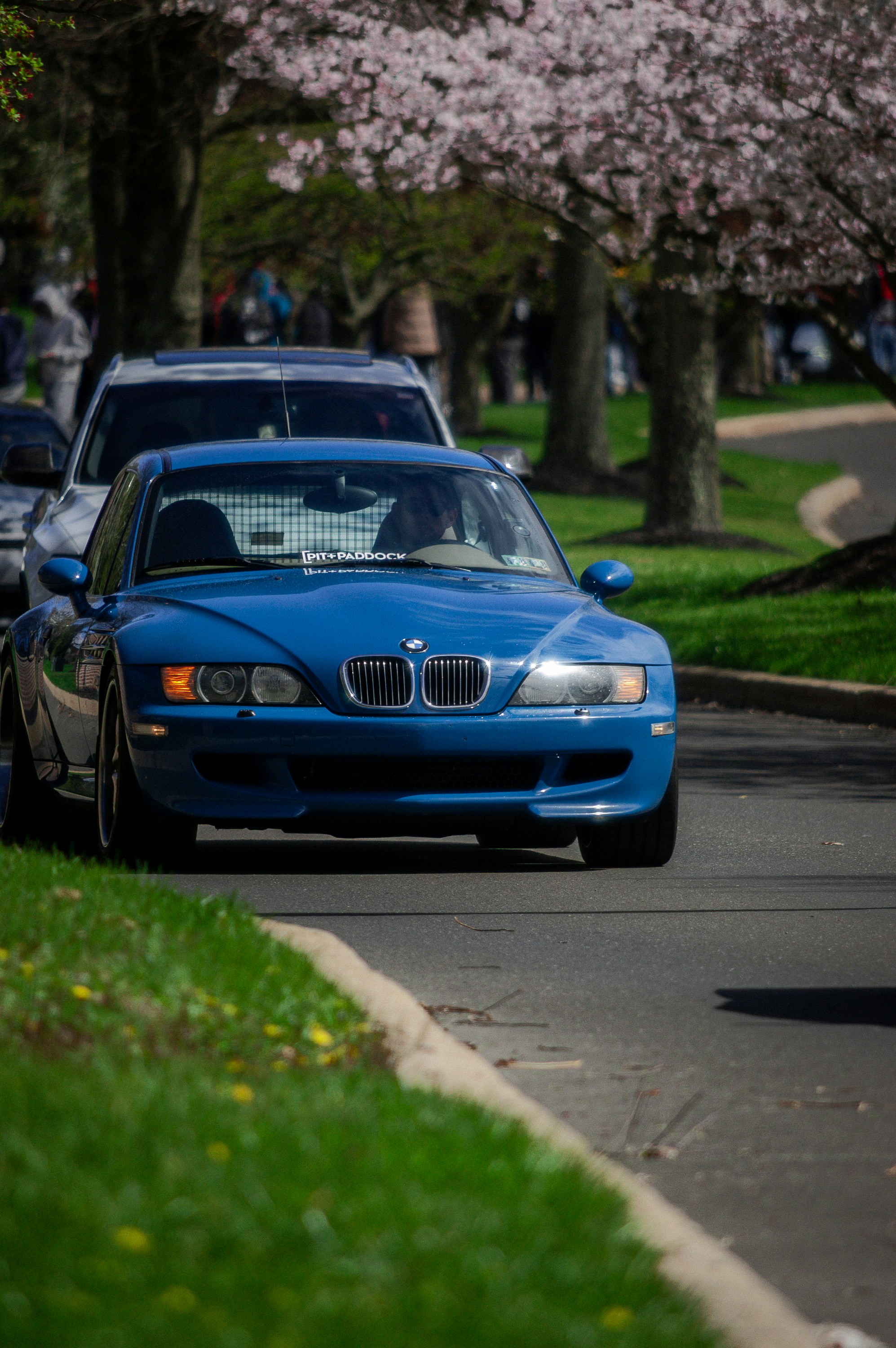 Blue BMW on a Blossom-Tinted Street