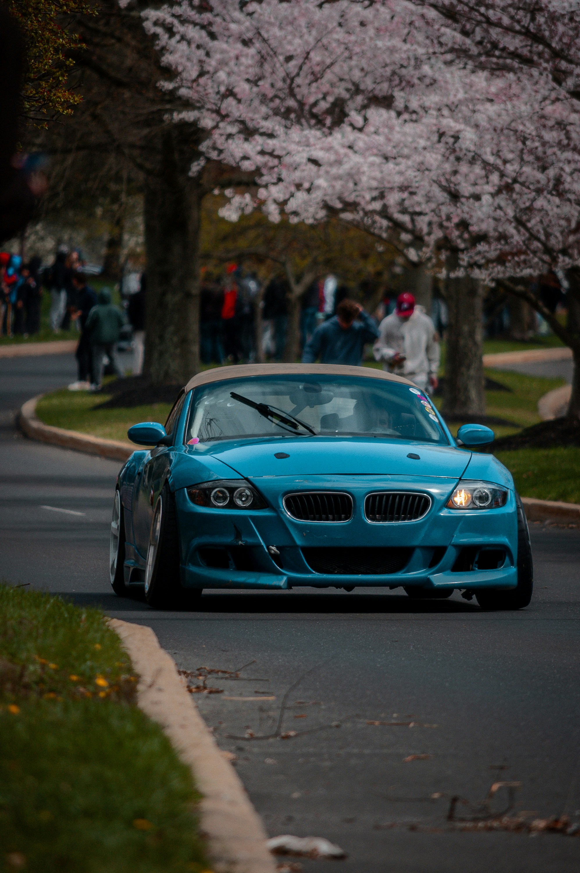 Blue Thunder on Cherry Blossom Boulevard