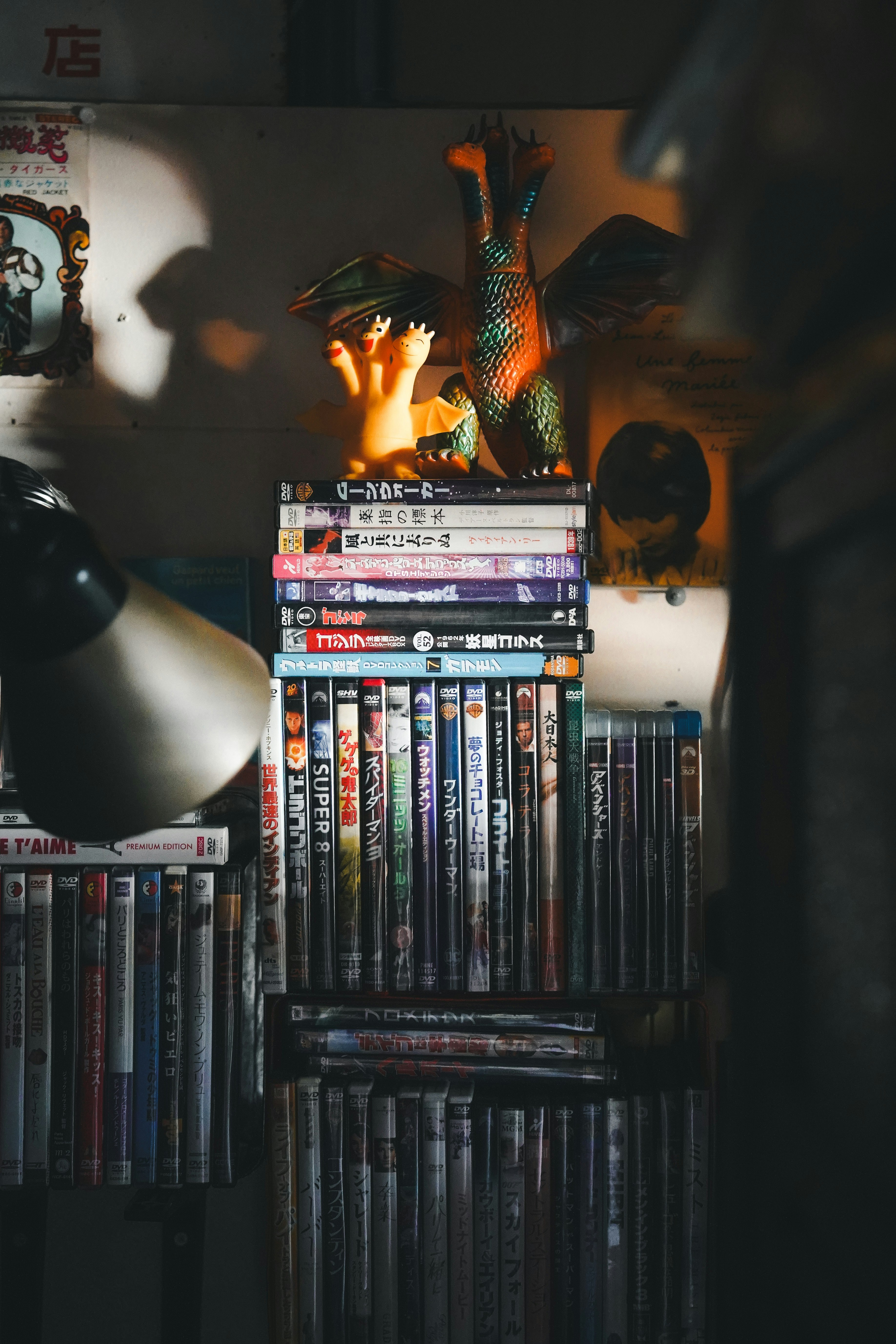 Dragon at Dusk: Watchful Amid a Spine-Stacked Archive