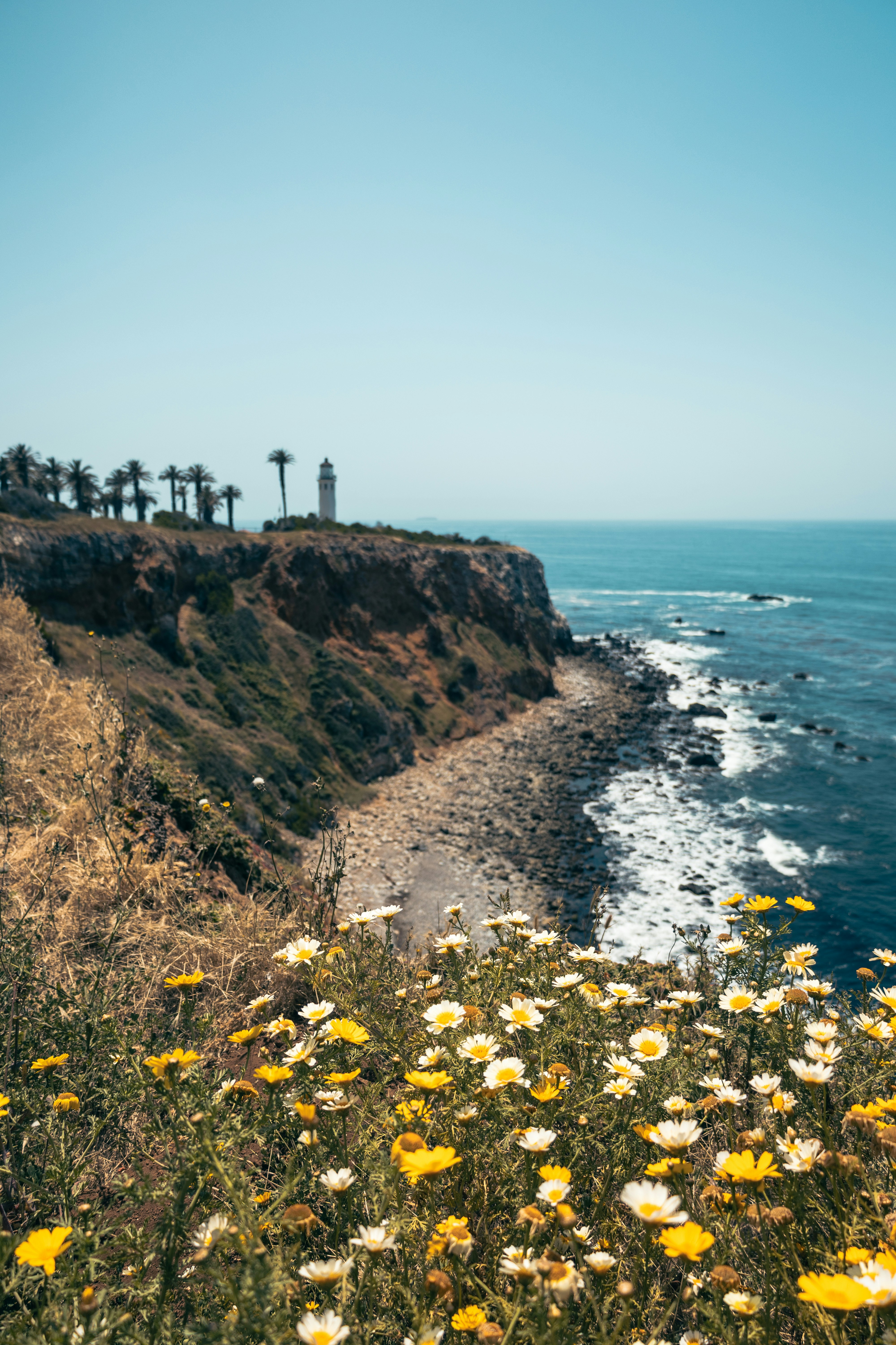 Distant Beacon over Wildflower-Fringed Cliffs