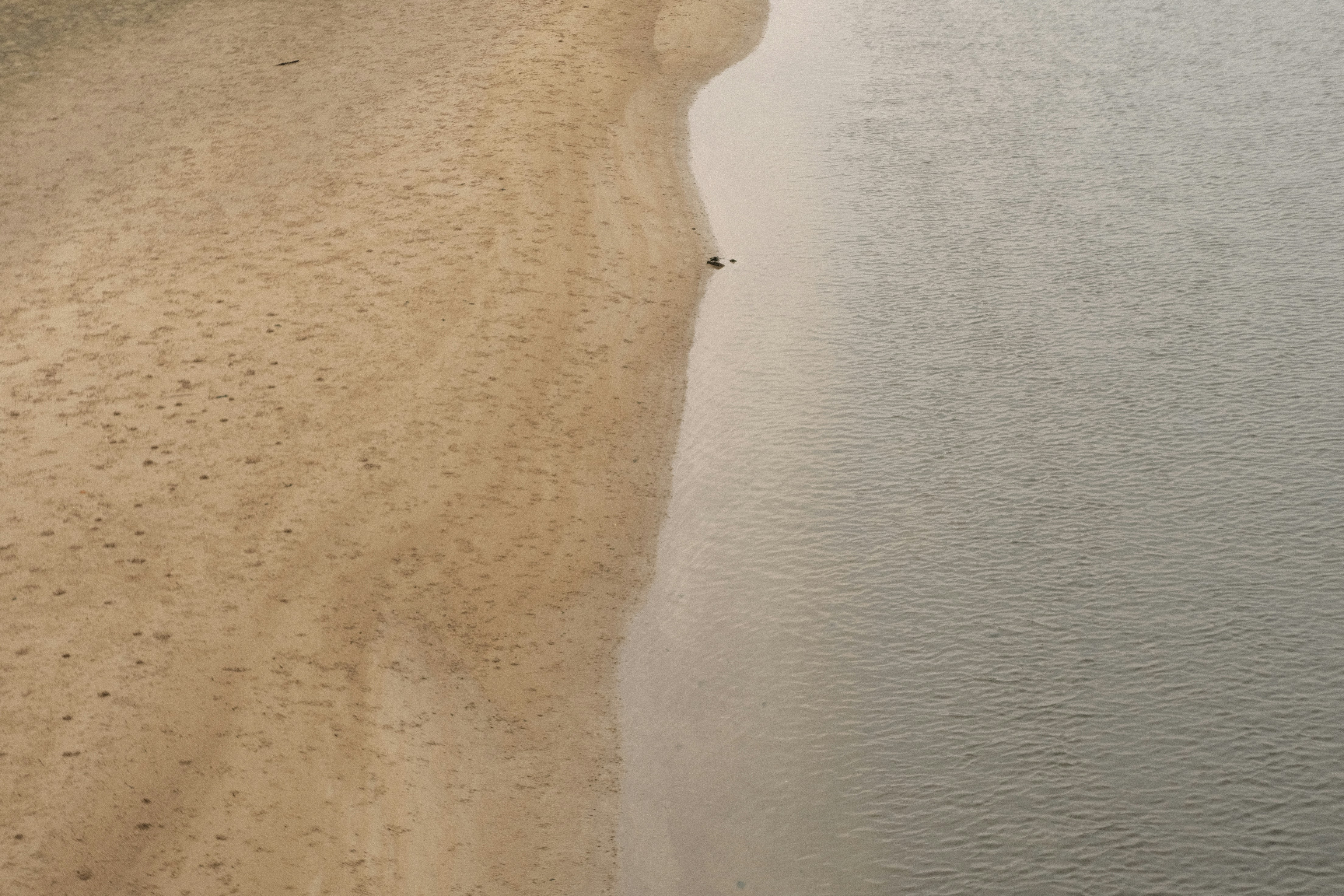Serenity at the Water's Edge