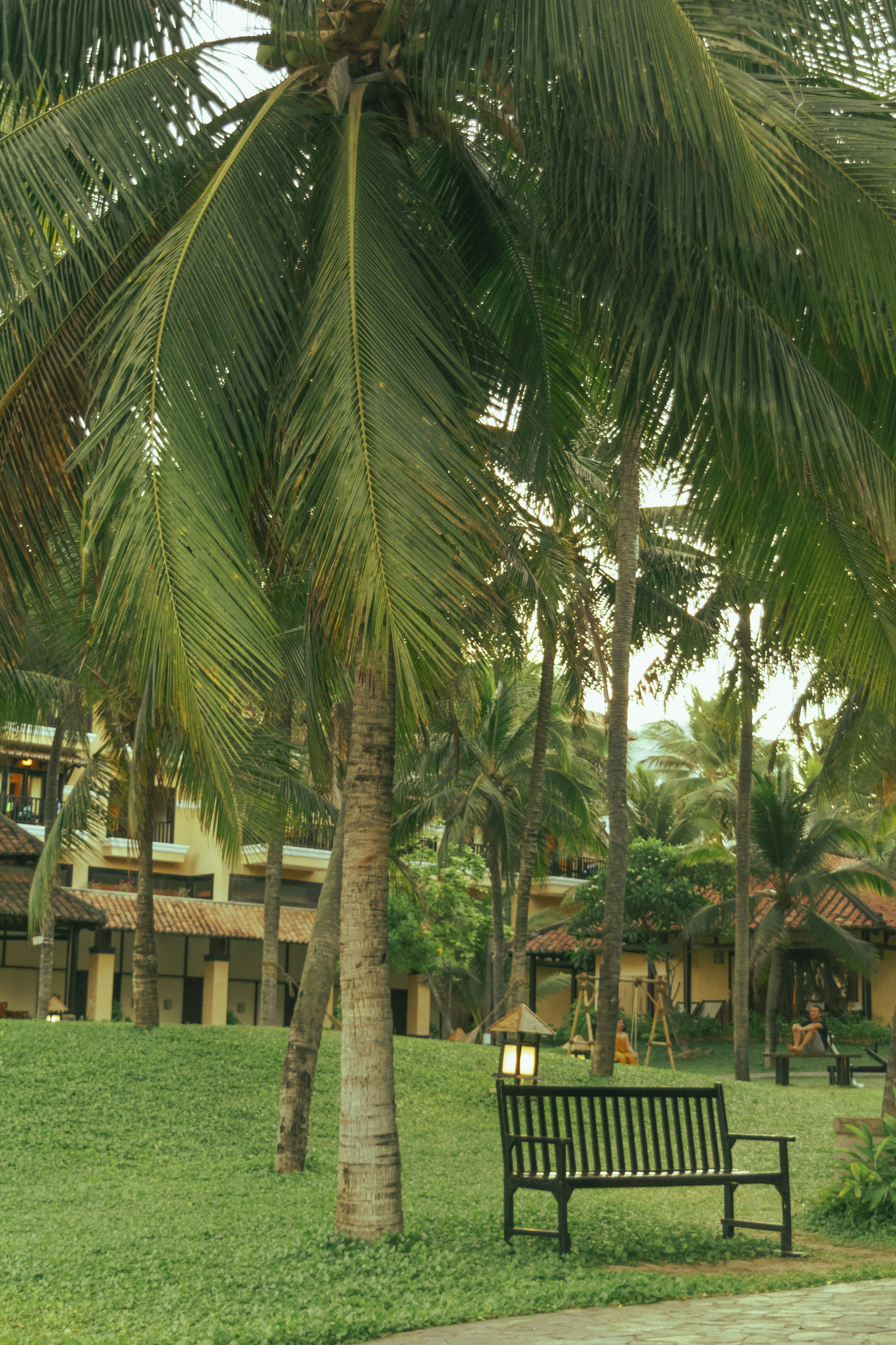 Photo by Hoàng Anh Nguyễn with Nikon D5300