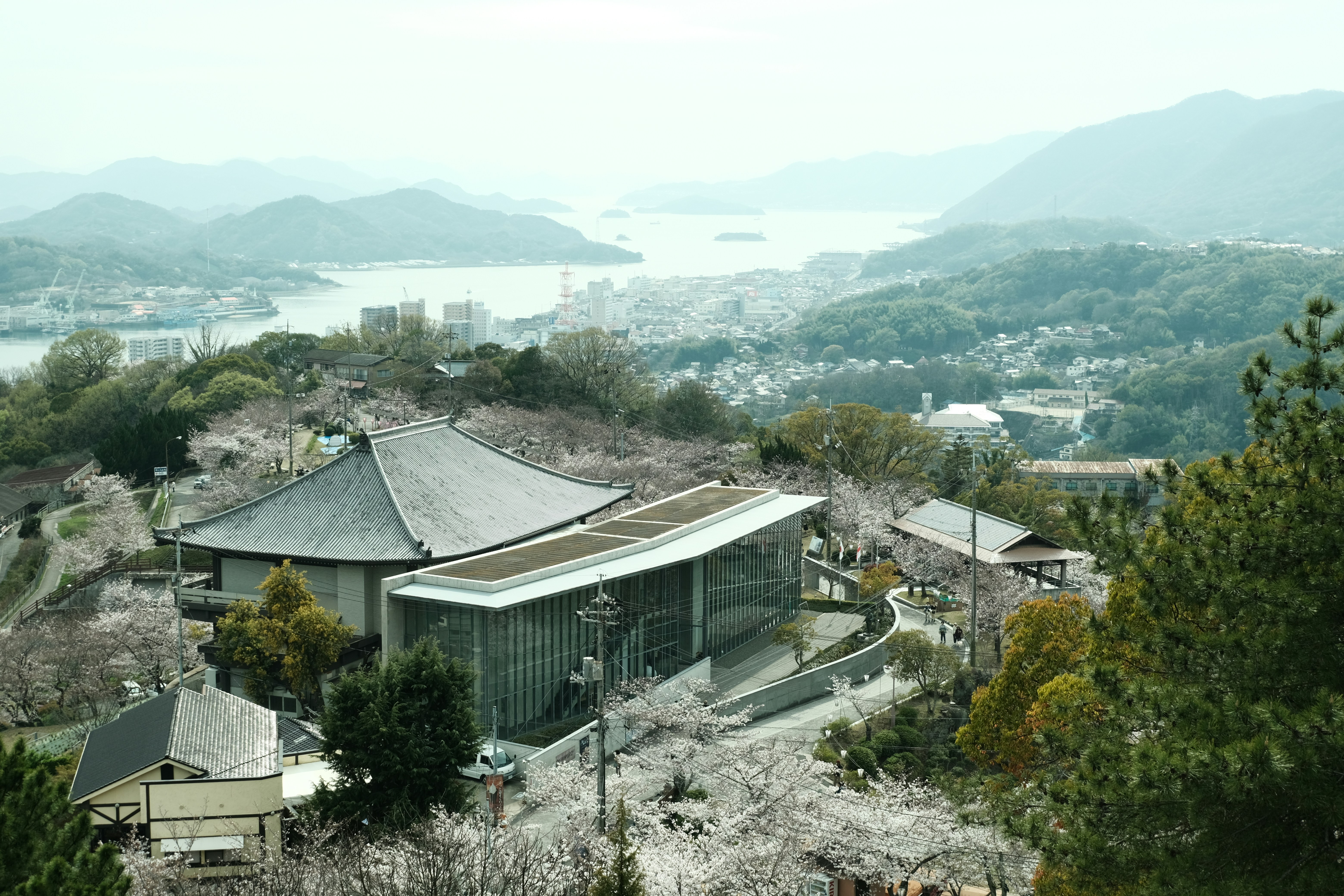 Curved Glass Pavilion Among Cherry Blossoms Overlooking a Coastal Basin
