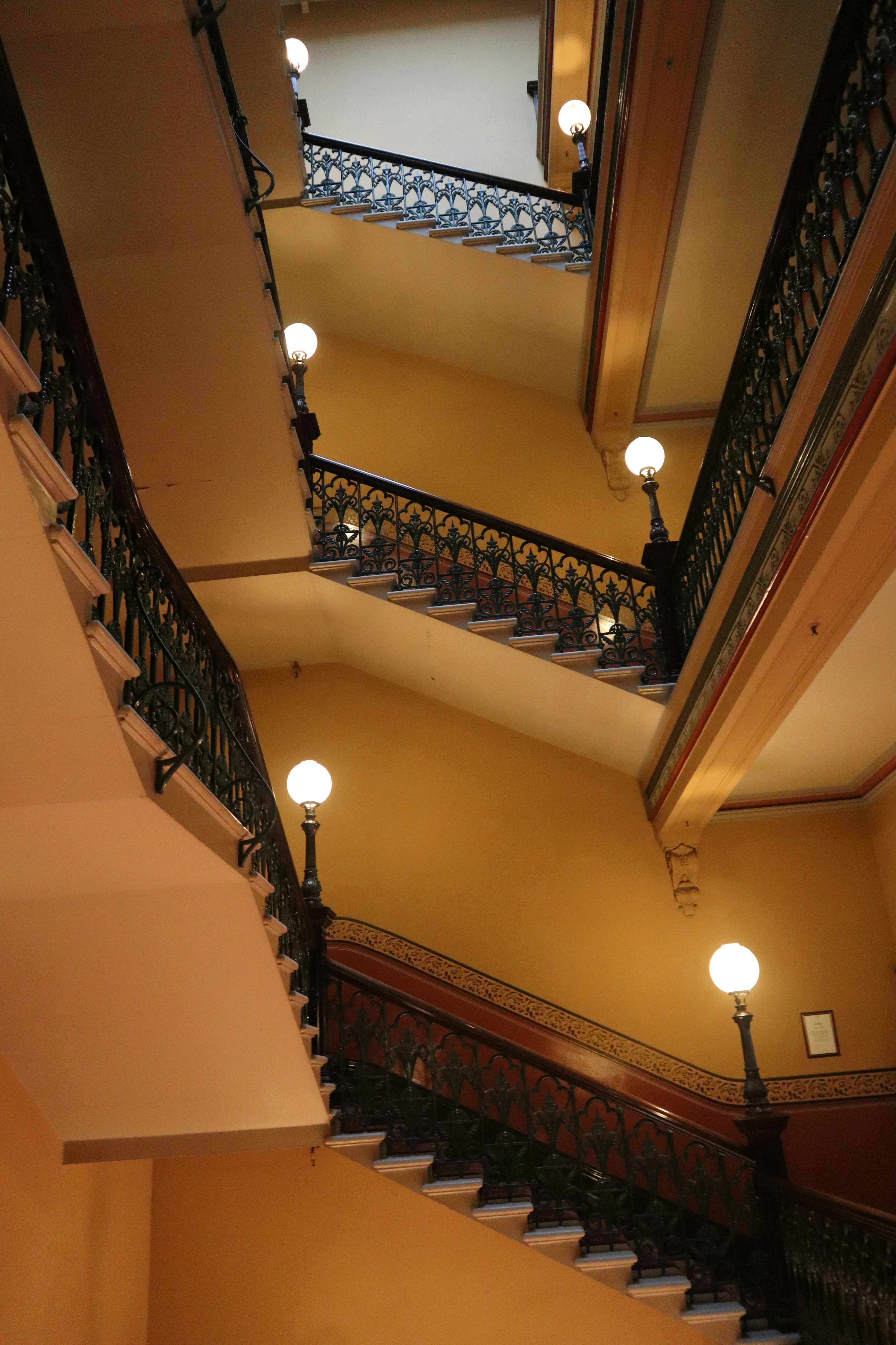 Photo by Serina Bird with Canon EOS M50 Mark II