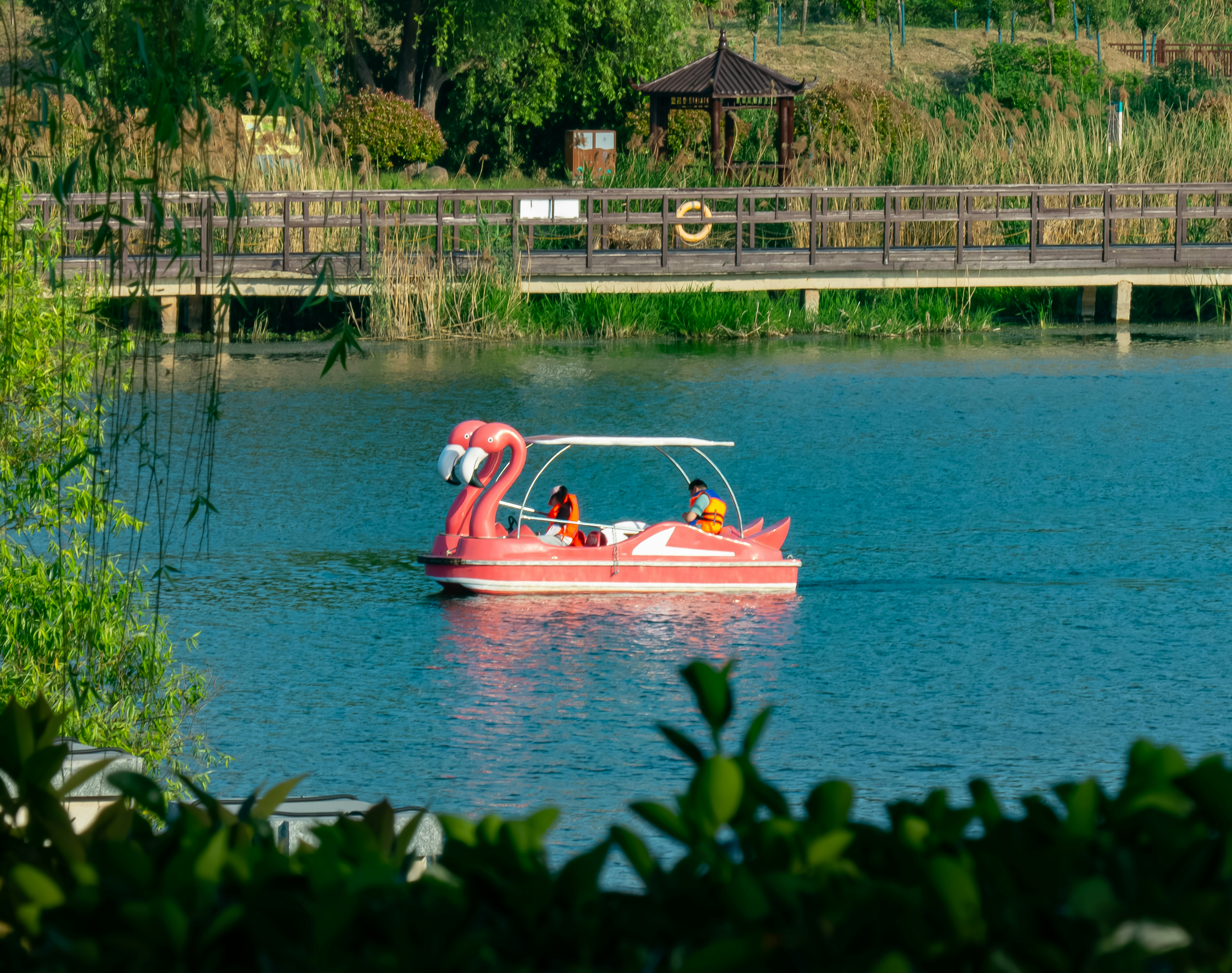 Photo by chris wang with Leica V-LUX 4