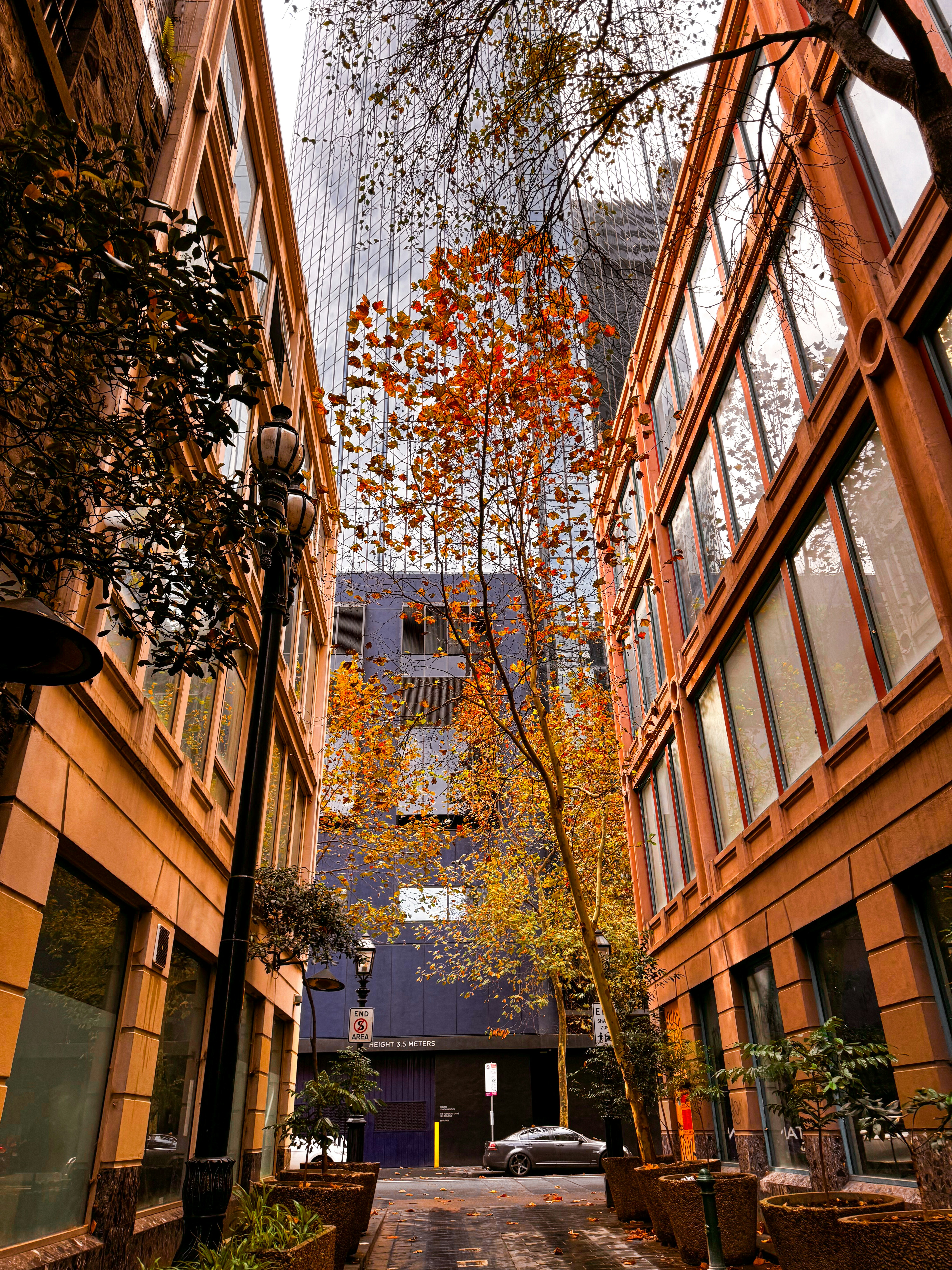 Autumn Arcade: Tree-Framed Alley Between Copper Facades