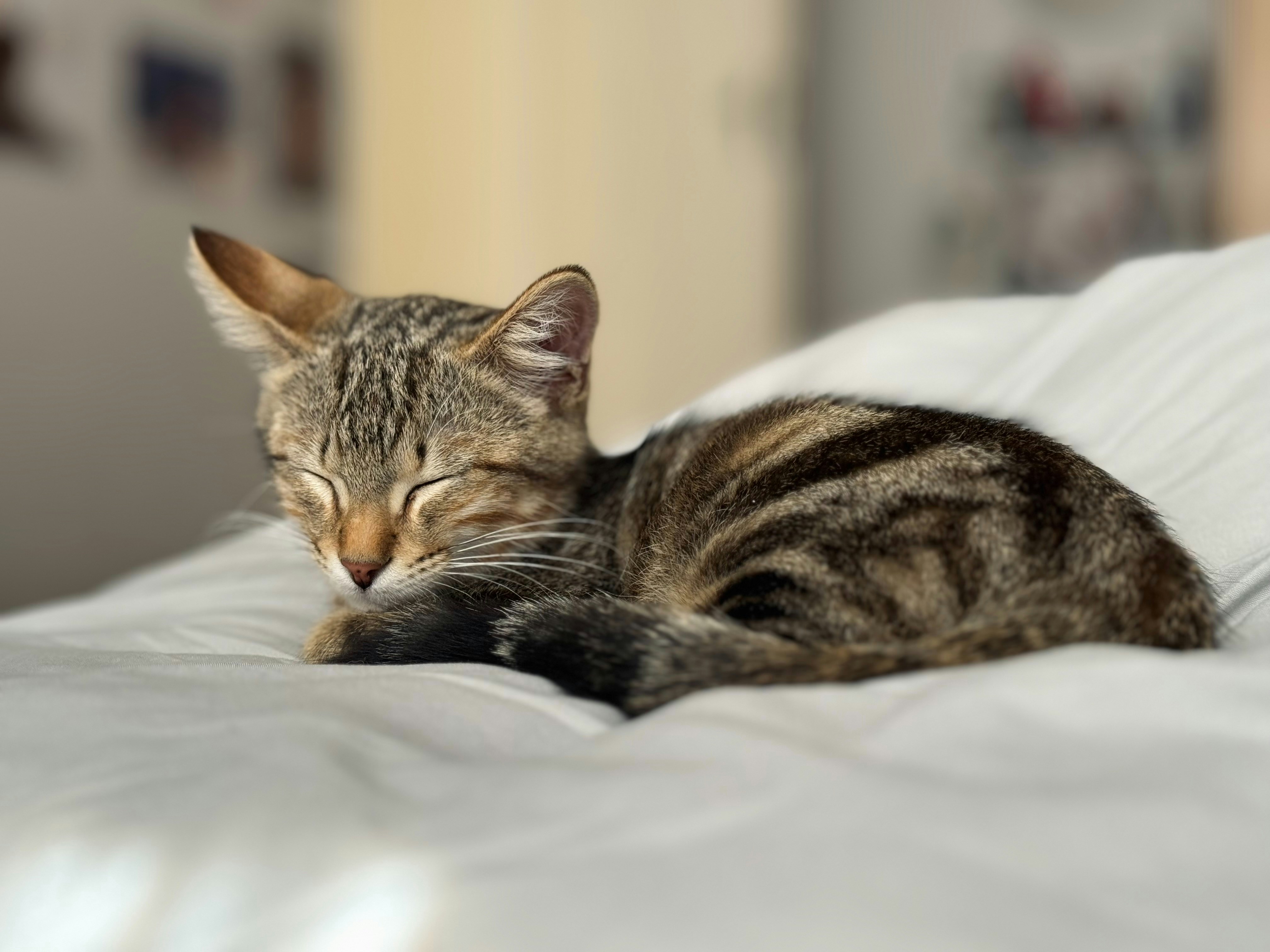 Photo by Christian Mammoszer with Apple iPhone 15 Pro Max