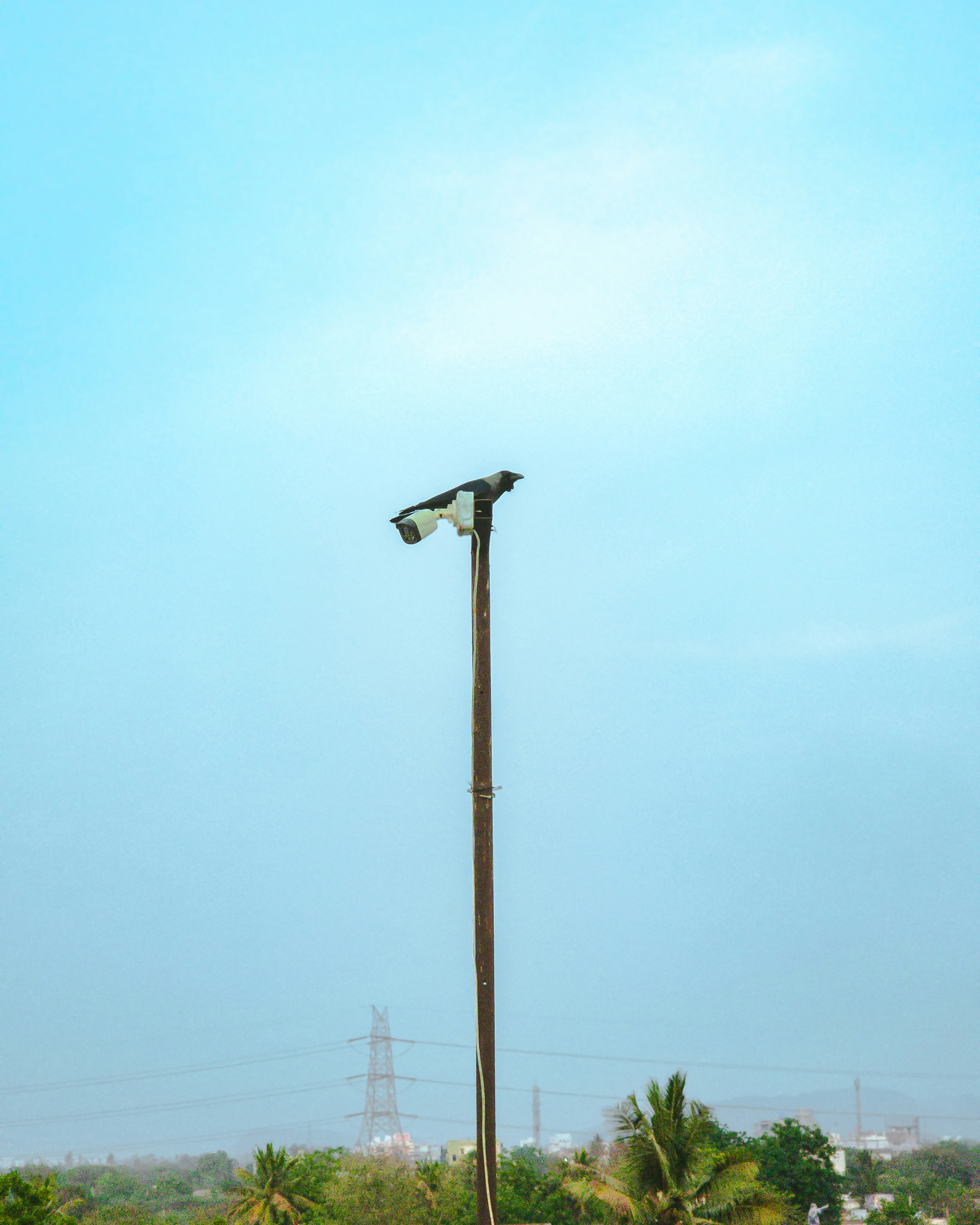 Photo by Nishanth Balraj with Samsung Galaxy S22