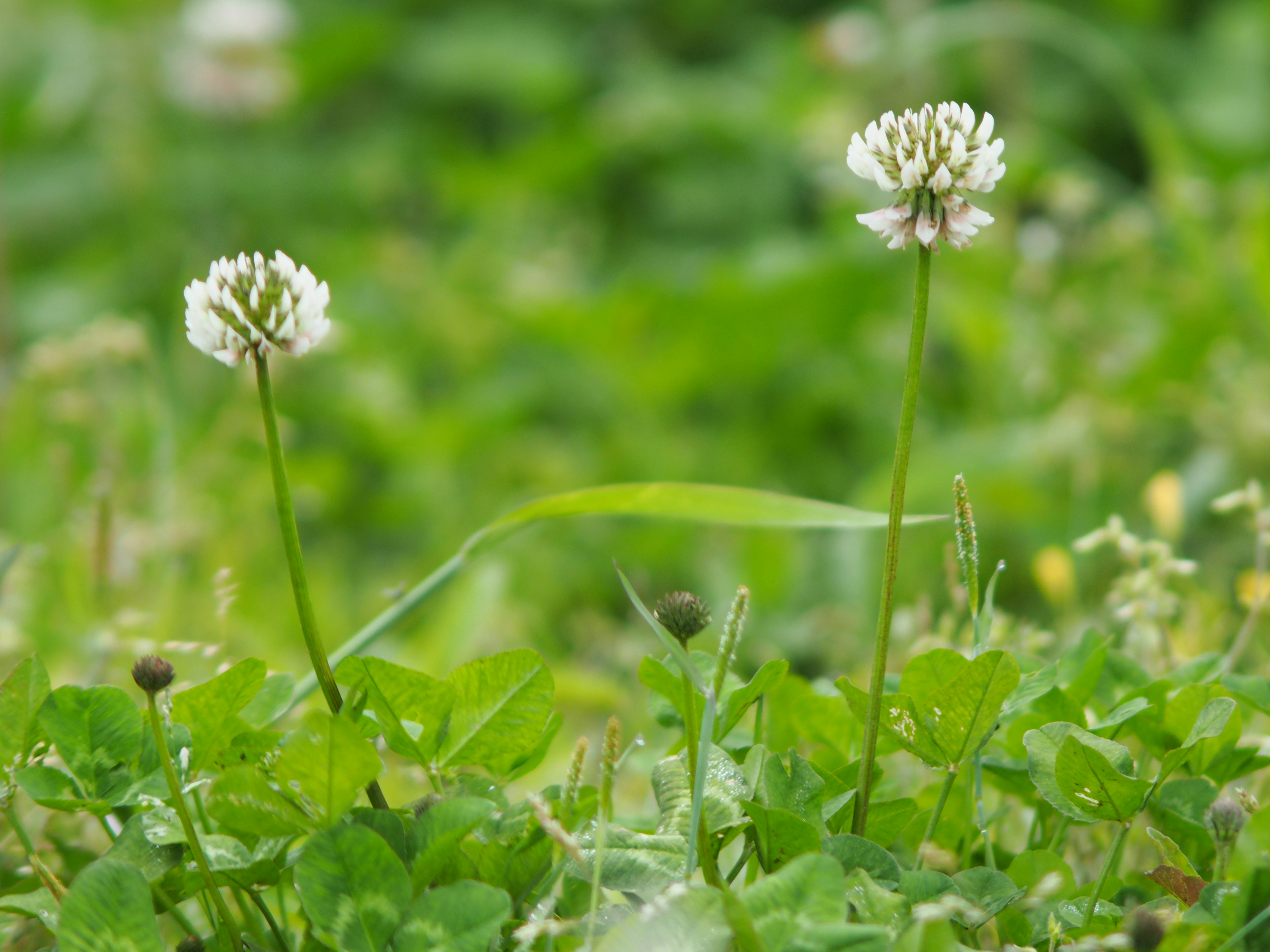 k ms (@ocher47) | Komunitas Foto Unsplash