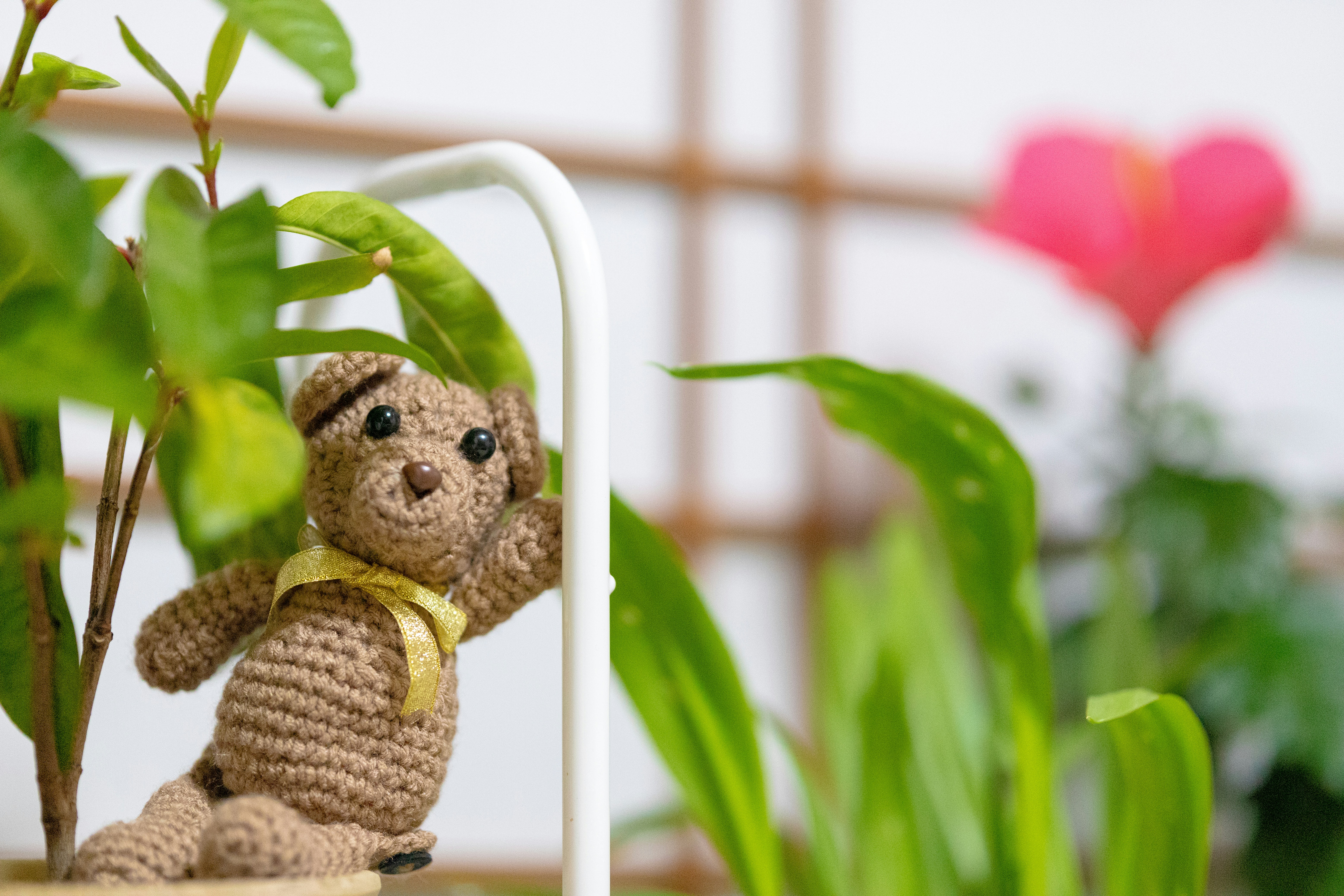 Tiny Crocheted Teddy Peers Through Leafy Framing on a Sunlit Windowsill