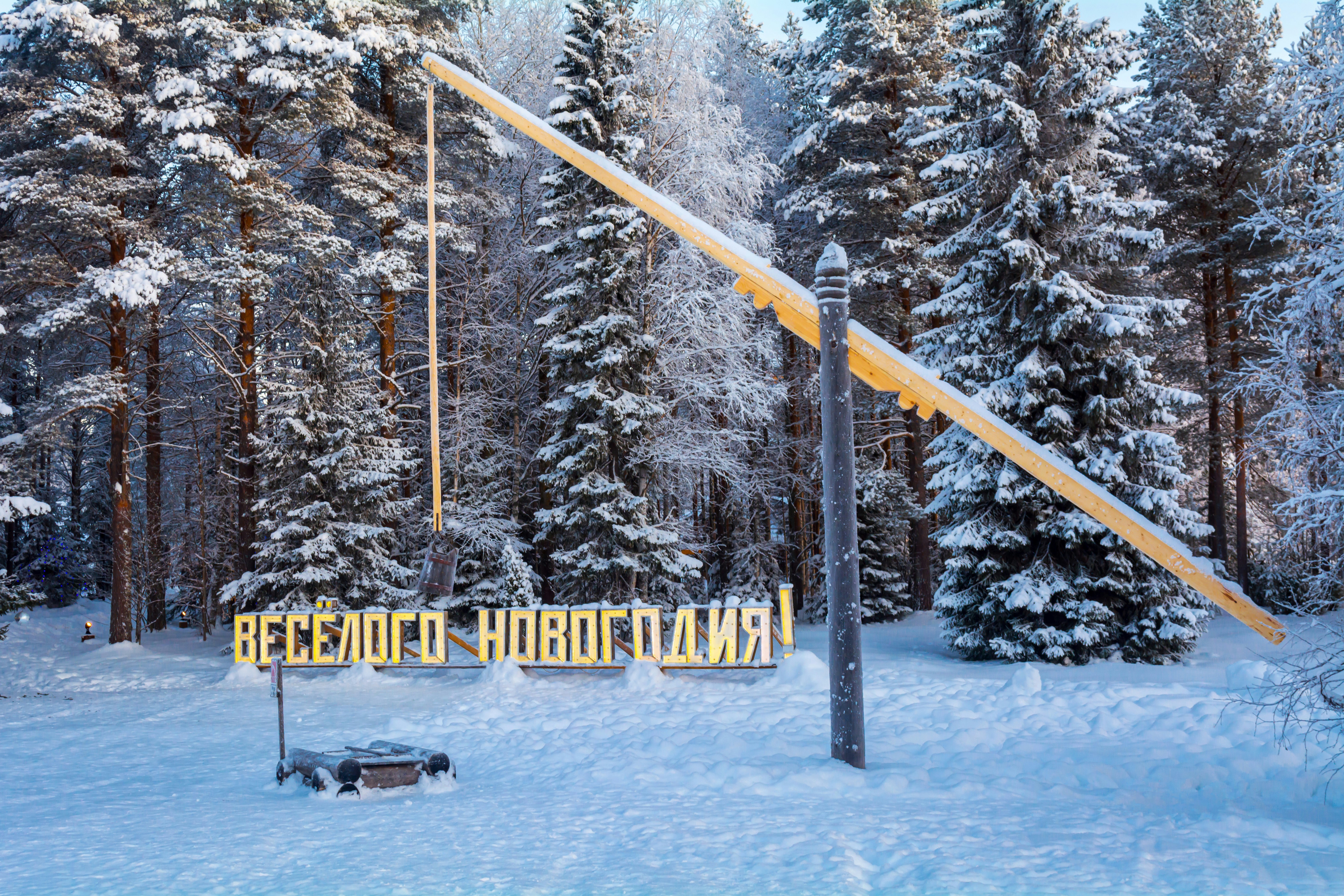 Golden New Year Greeting under a Tilted Beam in a Snowbound Clearing