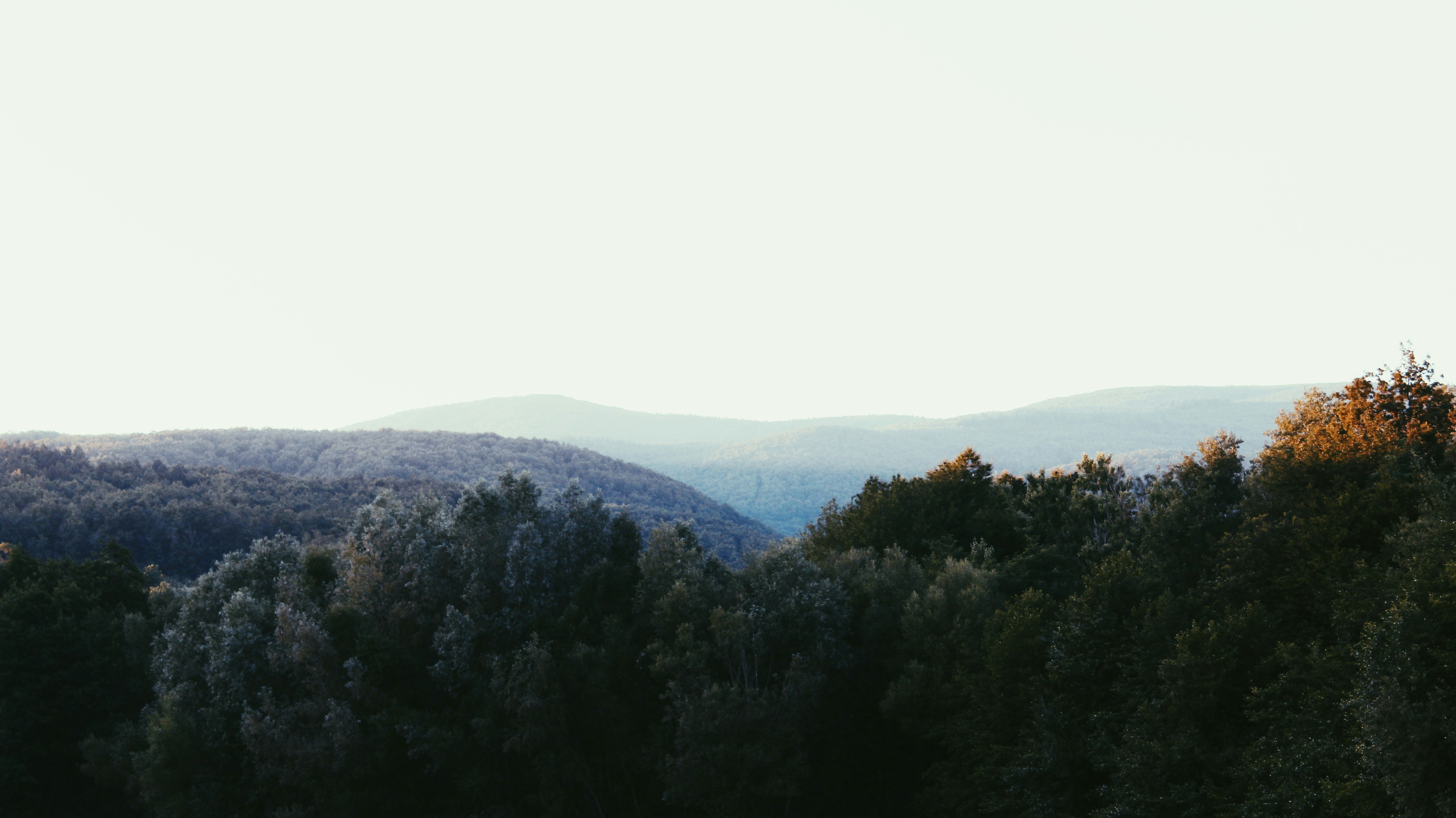 Laid Back Pictures | Download Free Images on Unsplash