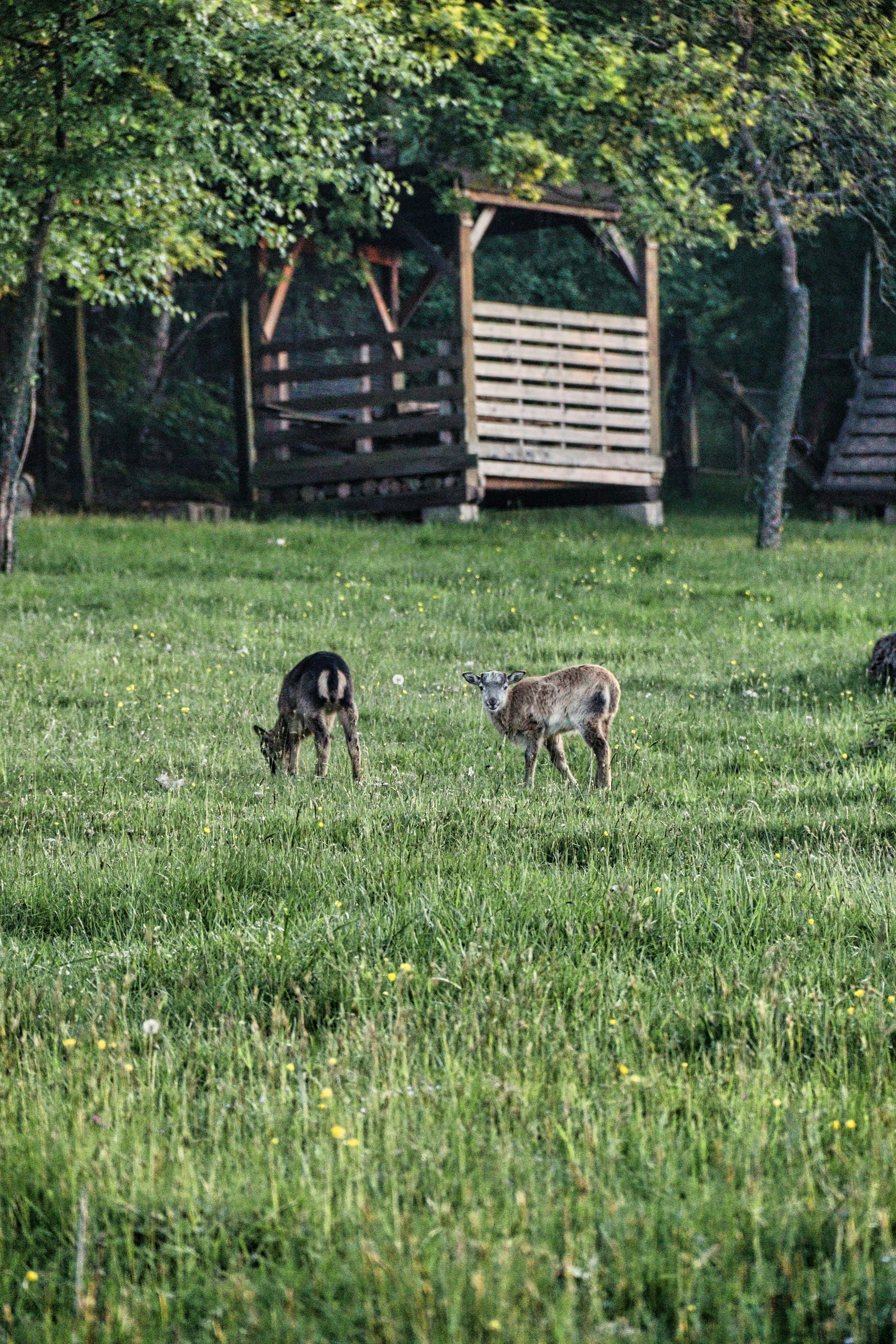 Photo by detait with Canon EOS 250D