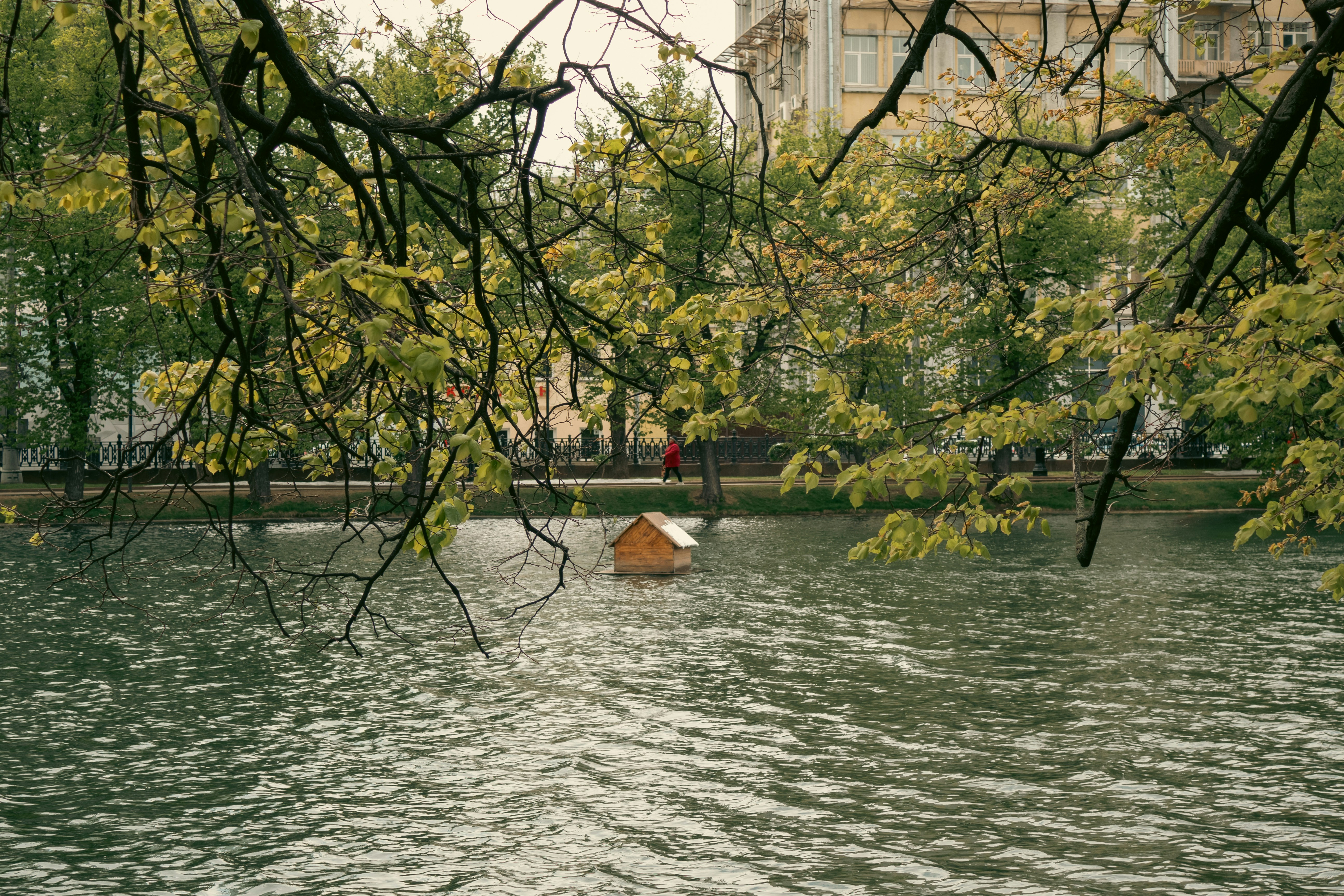 Floating Shelter in Autumn Ripples Along a City River
