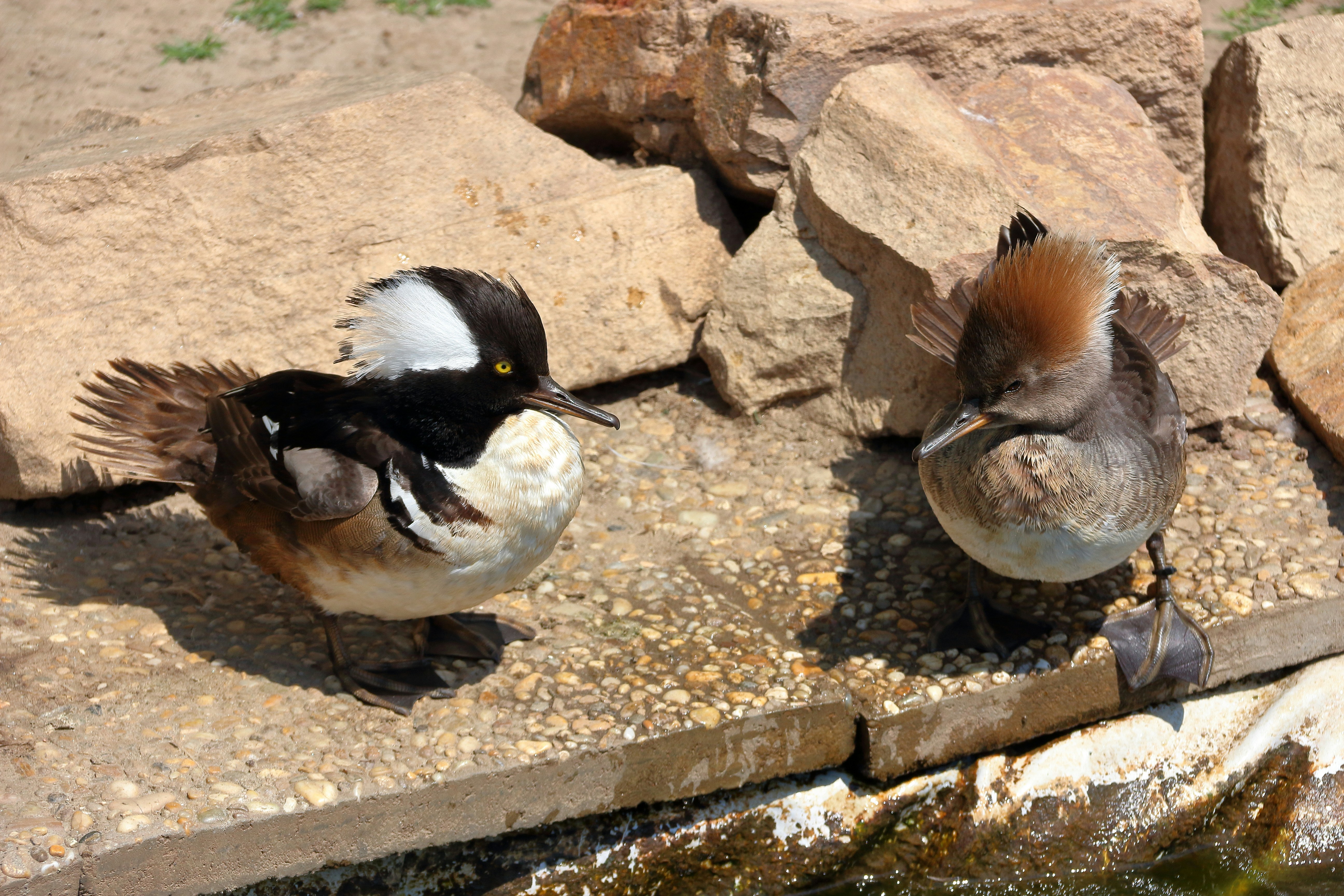 Photo by Timi Gaier with Canon EOS 650D