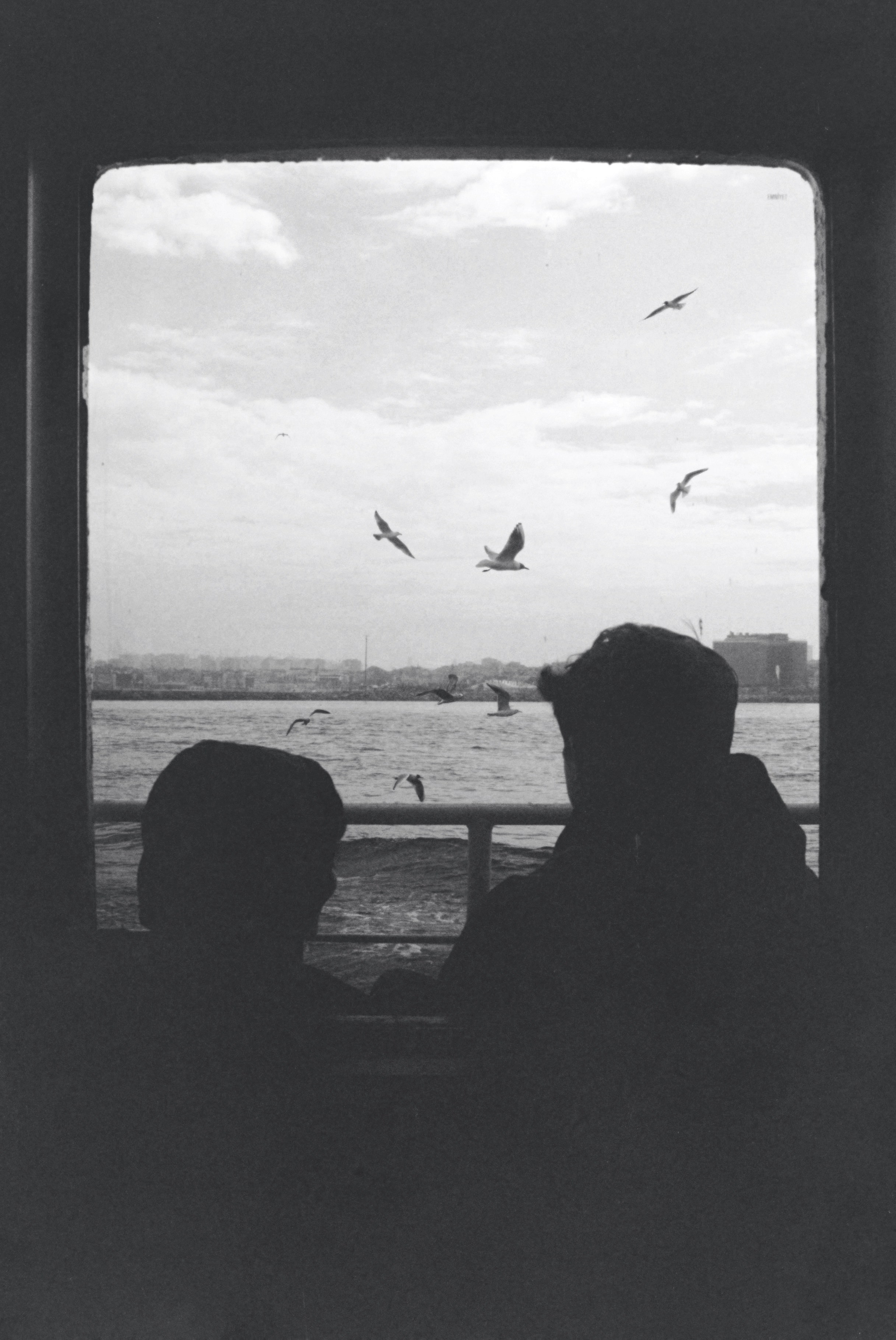 Seabreaker Silhouettes: Birds over the Quiet Pier