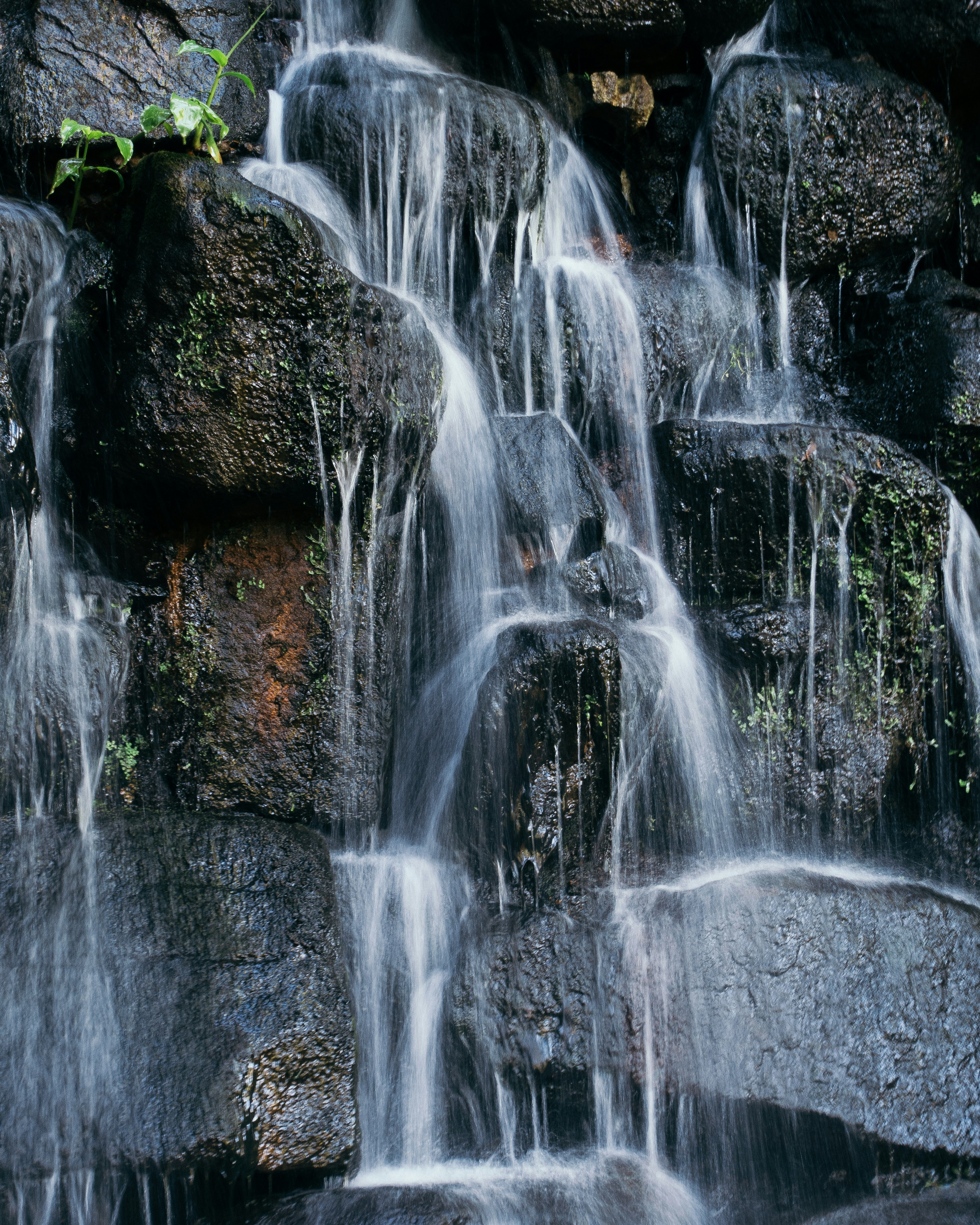 Moss-veined Cascade Across Basalt Steps