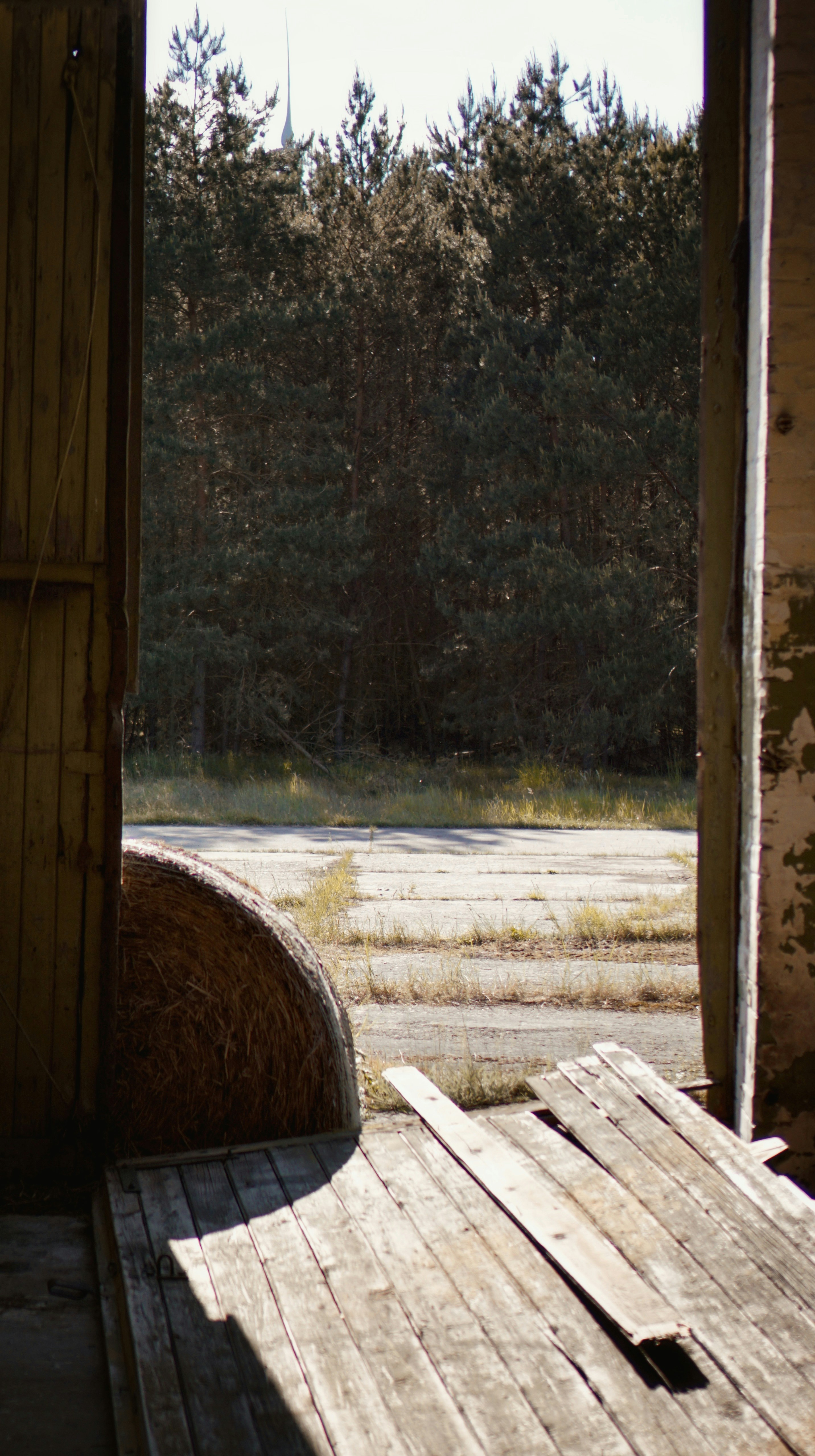 Threshold to Light: A Weathered Barn Framing a Sunlit Field