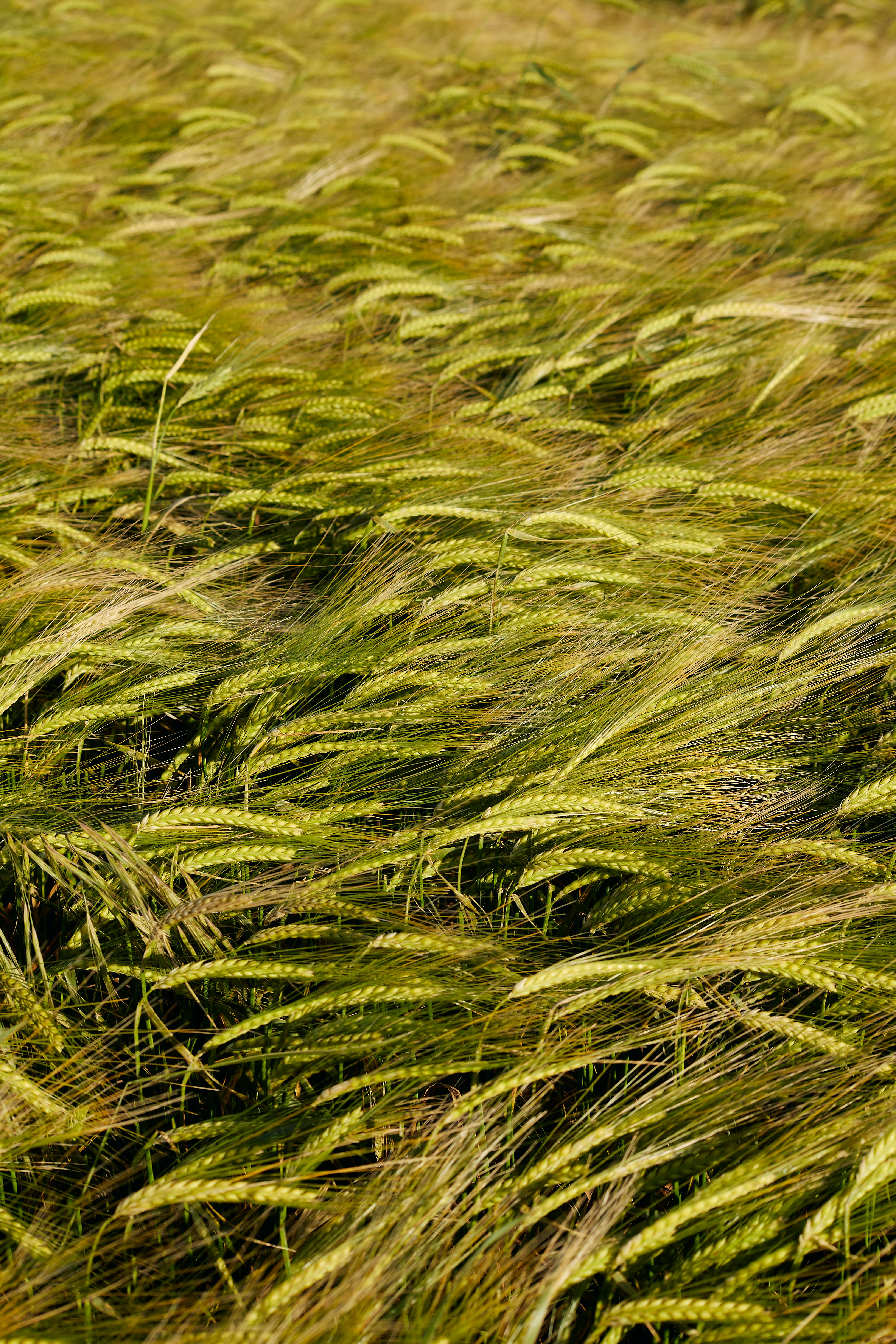 Photo by meriç tuna with Canon EOS 6D Mark II