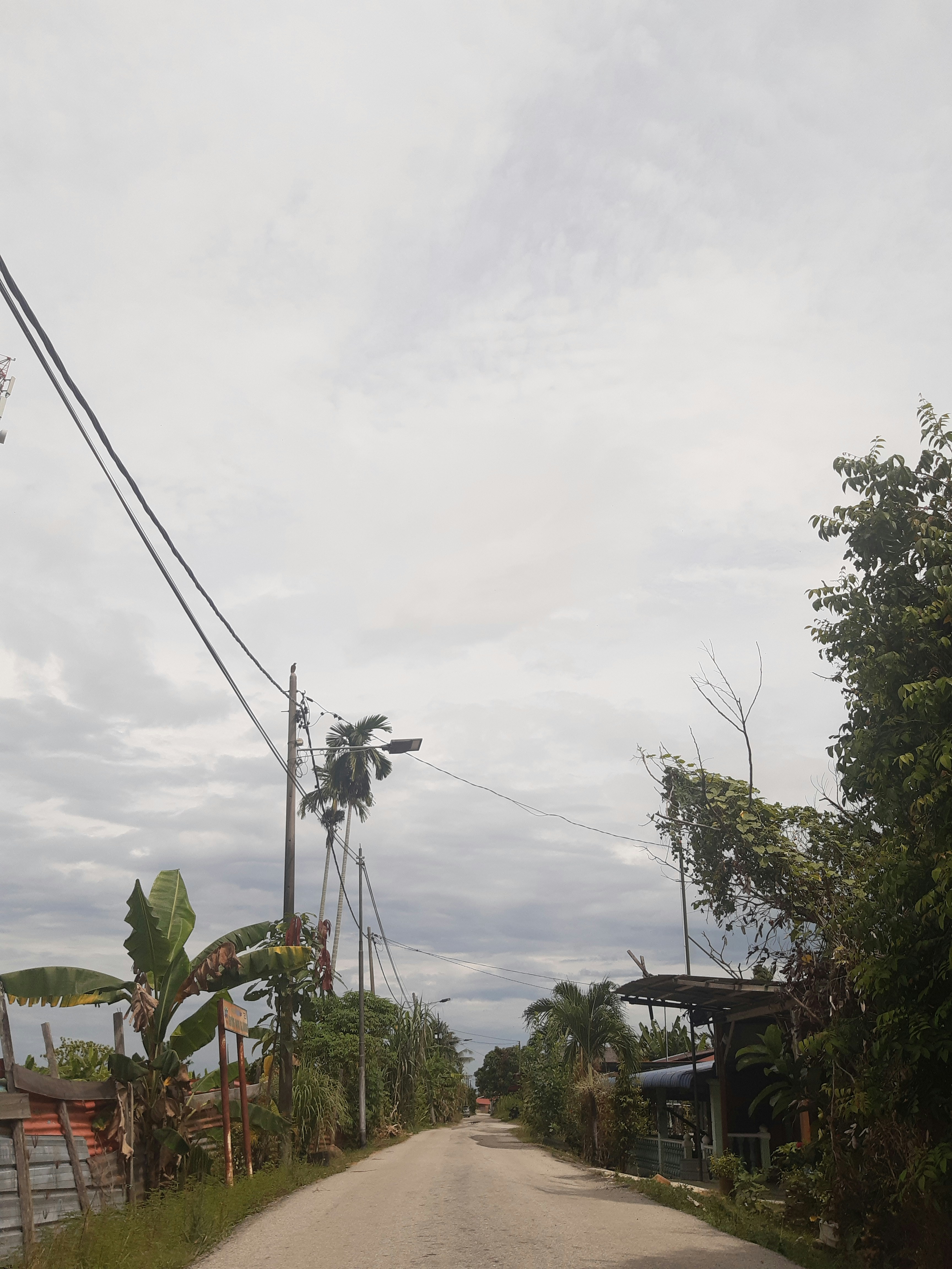 Dusty rural road stretches toward a distant vanishing point, framed by palm trees, utility poles, and modest homes beneath a gray, overcast sky.