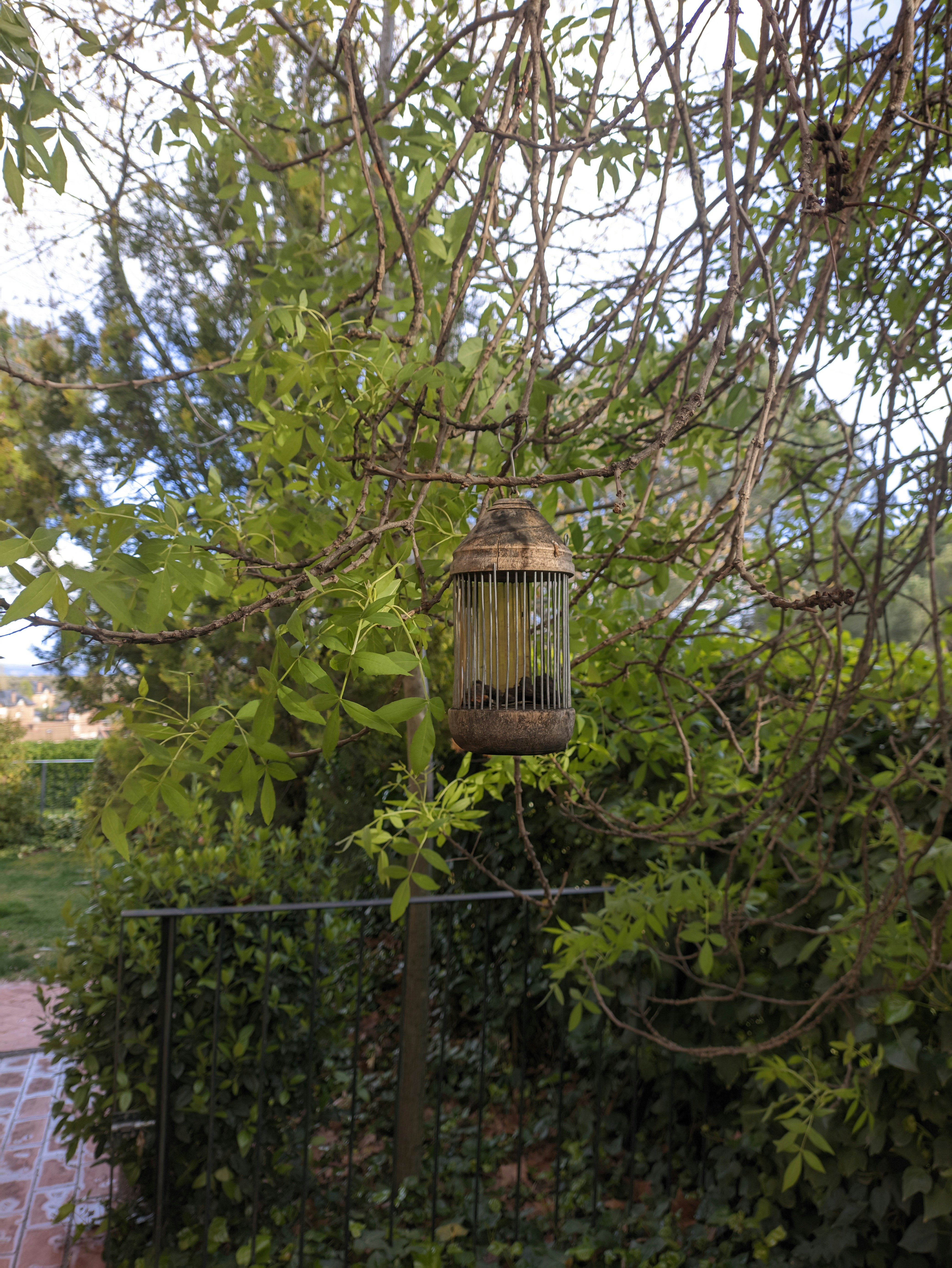 Photo by Gopinath Mohanta with Xiaomi Poco F5