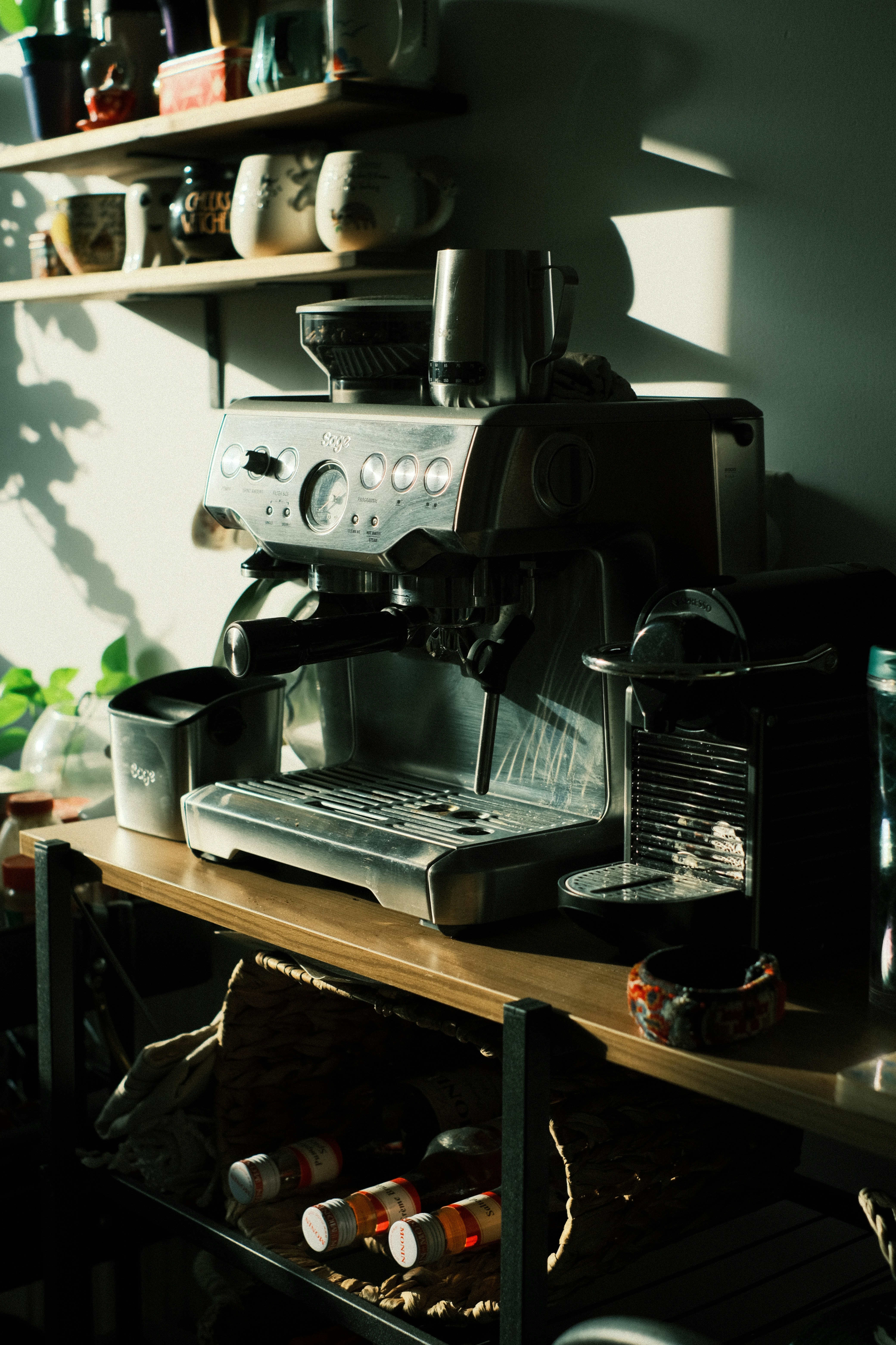 Photo by Siavash Keshmiri with Fujifilm X-T30 II