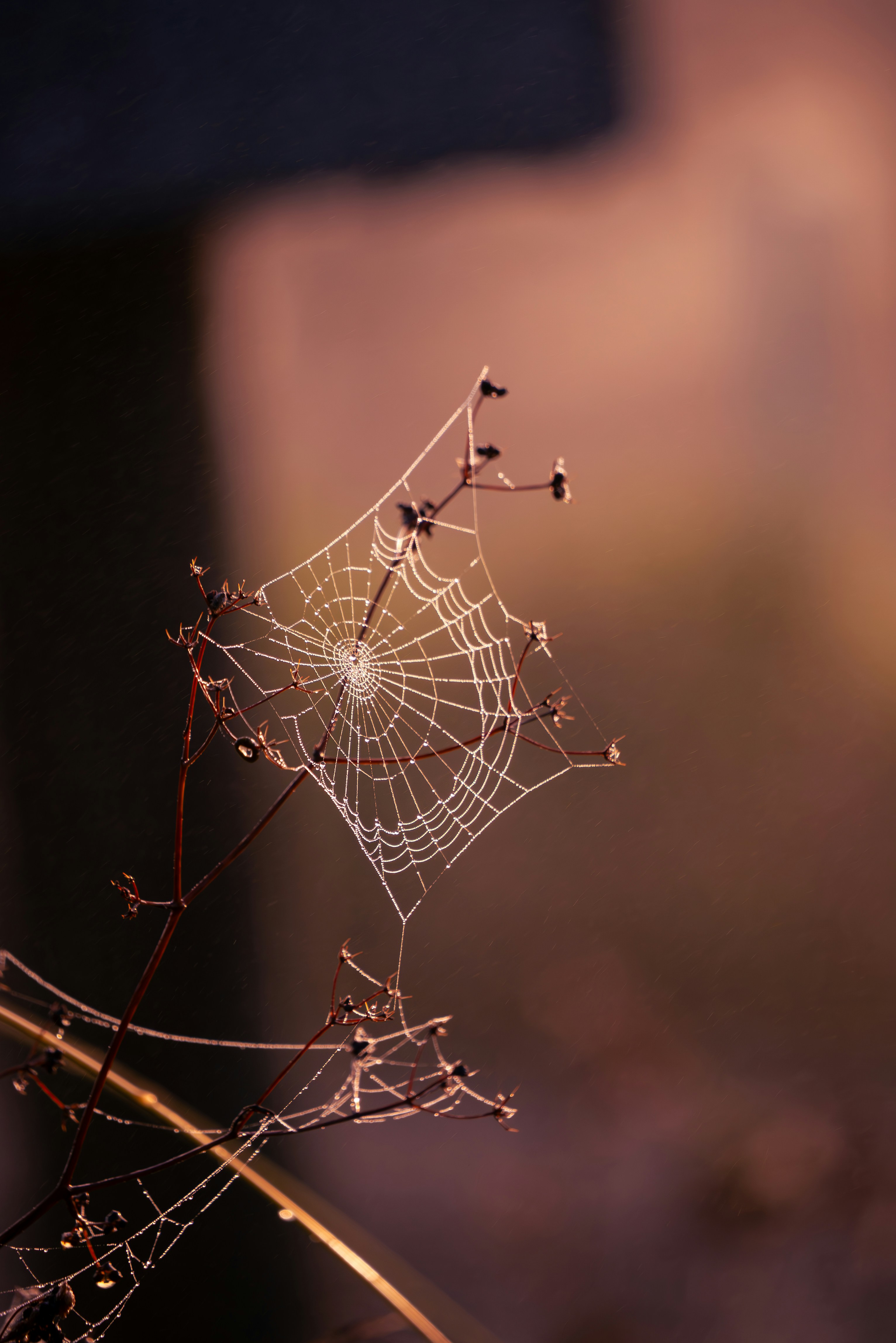 Katelyn Greer (@katelyn_g) | Unsplash Photo Community