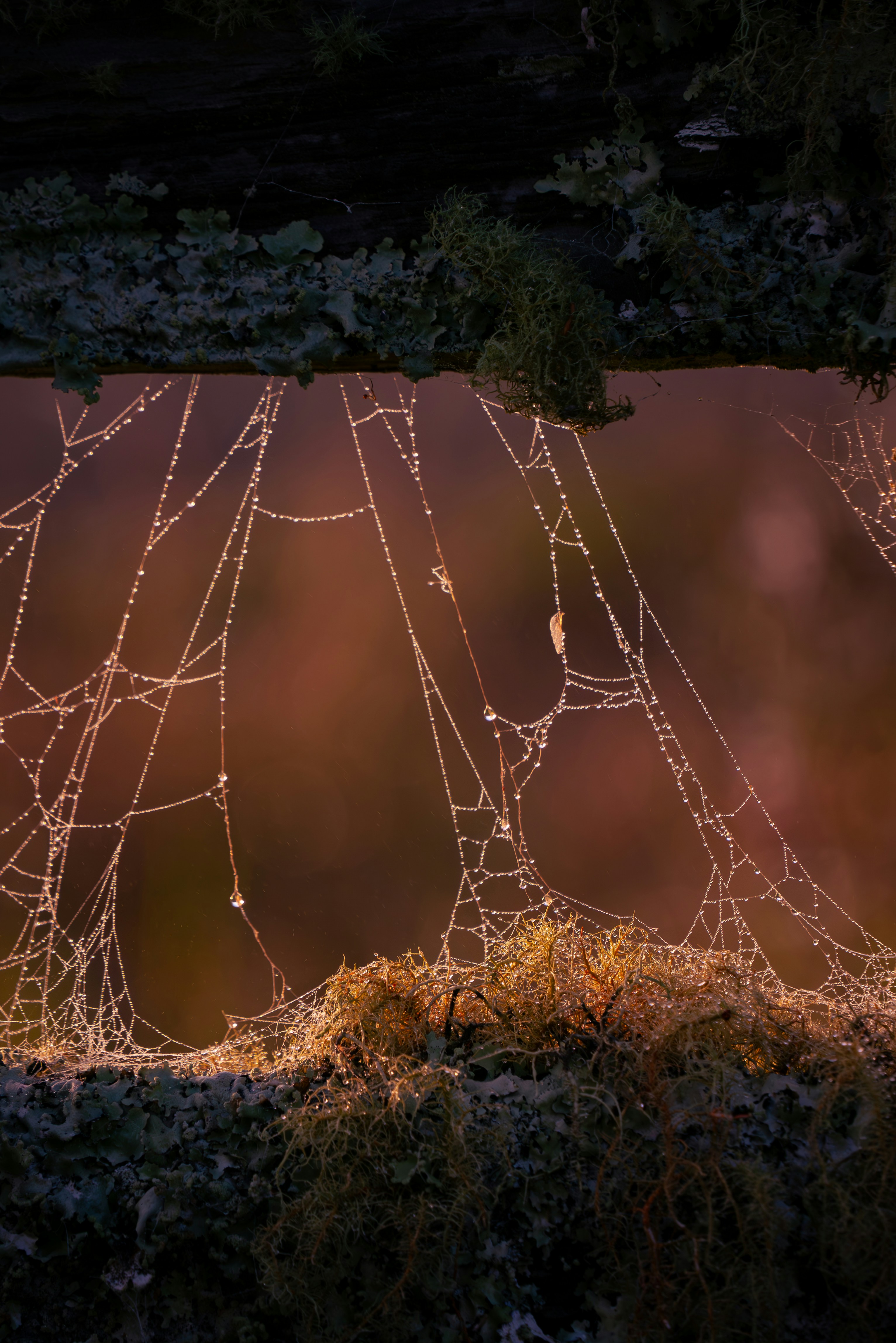 Photo by Katelyn G with Panasonic Lumix G7