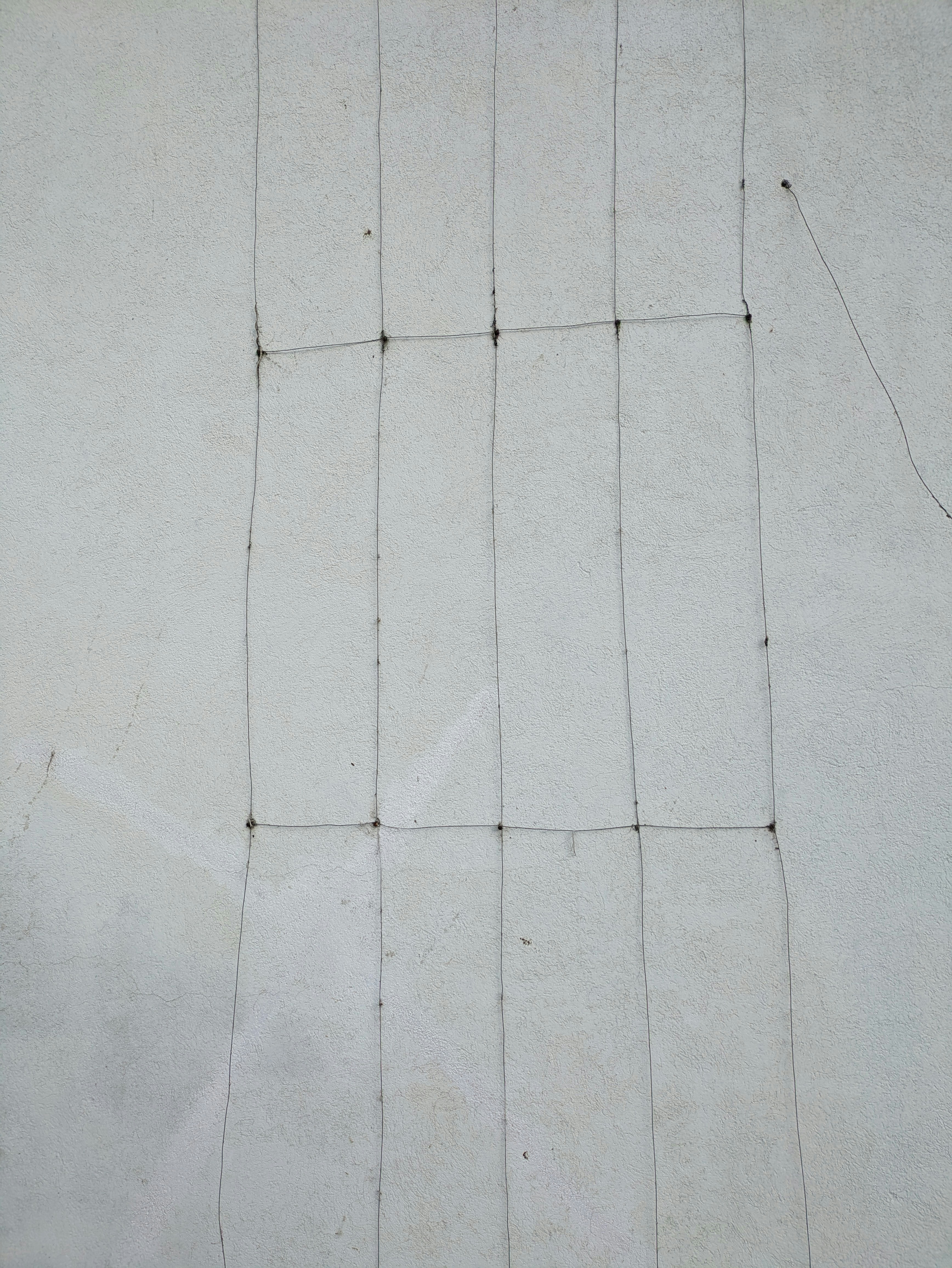 Sample photo from Google Pixel 7a