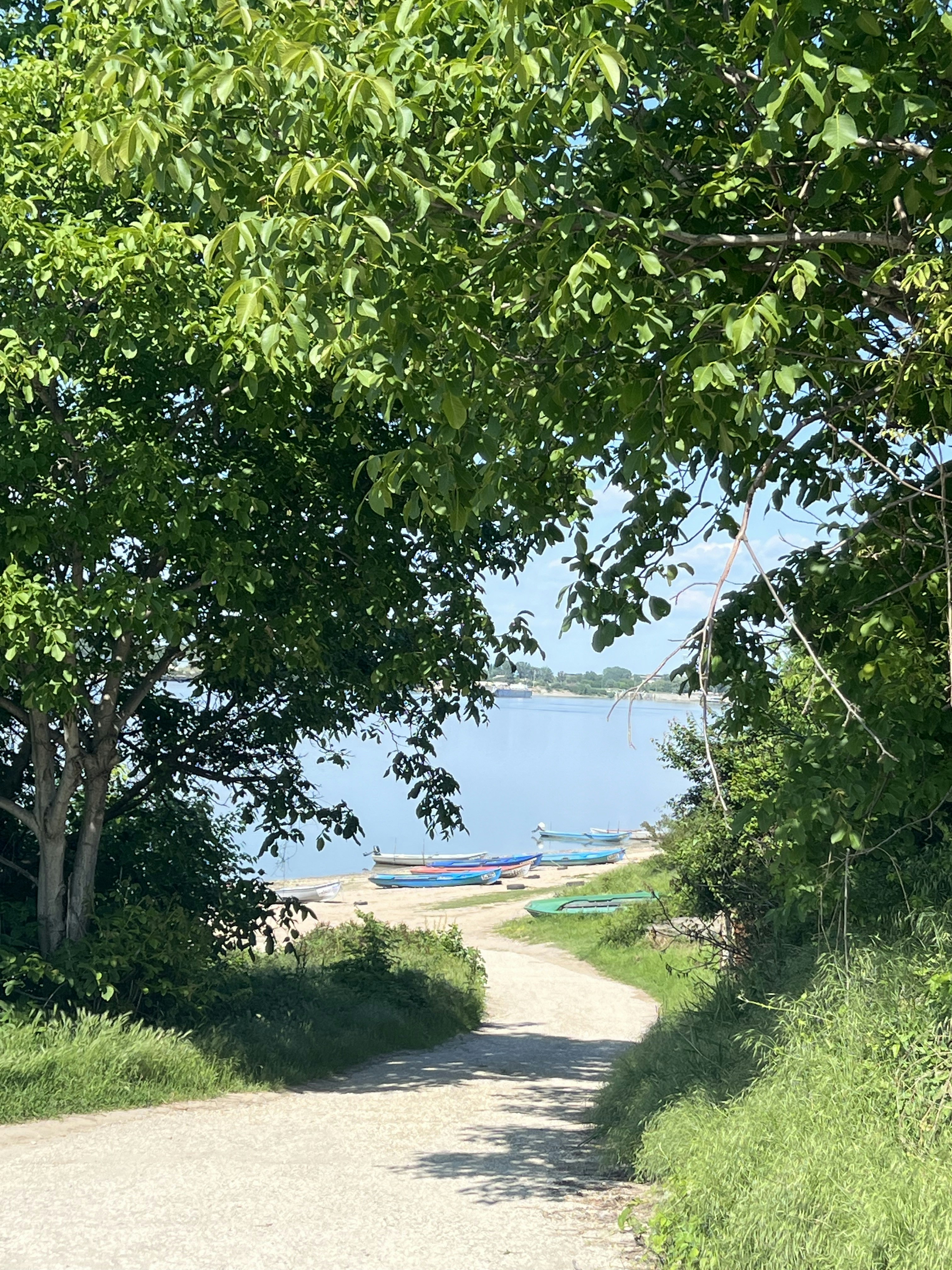 Path to the Quiet Shore: Boats Rest by a Sunlit Lake