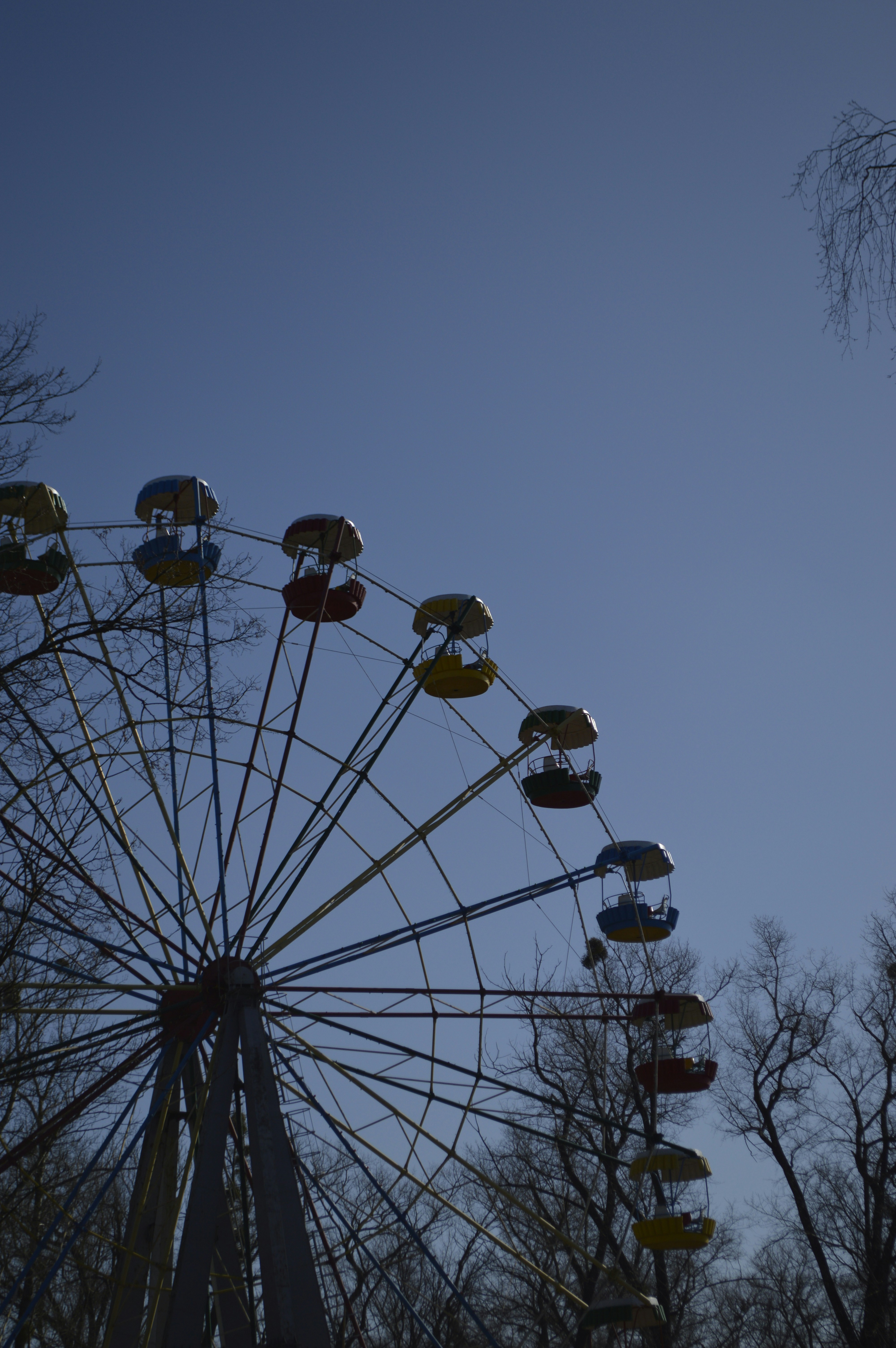 Ferris Wheel Emerges Against a Clear Winter Sky
