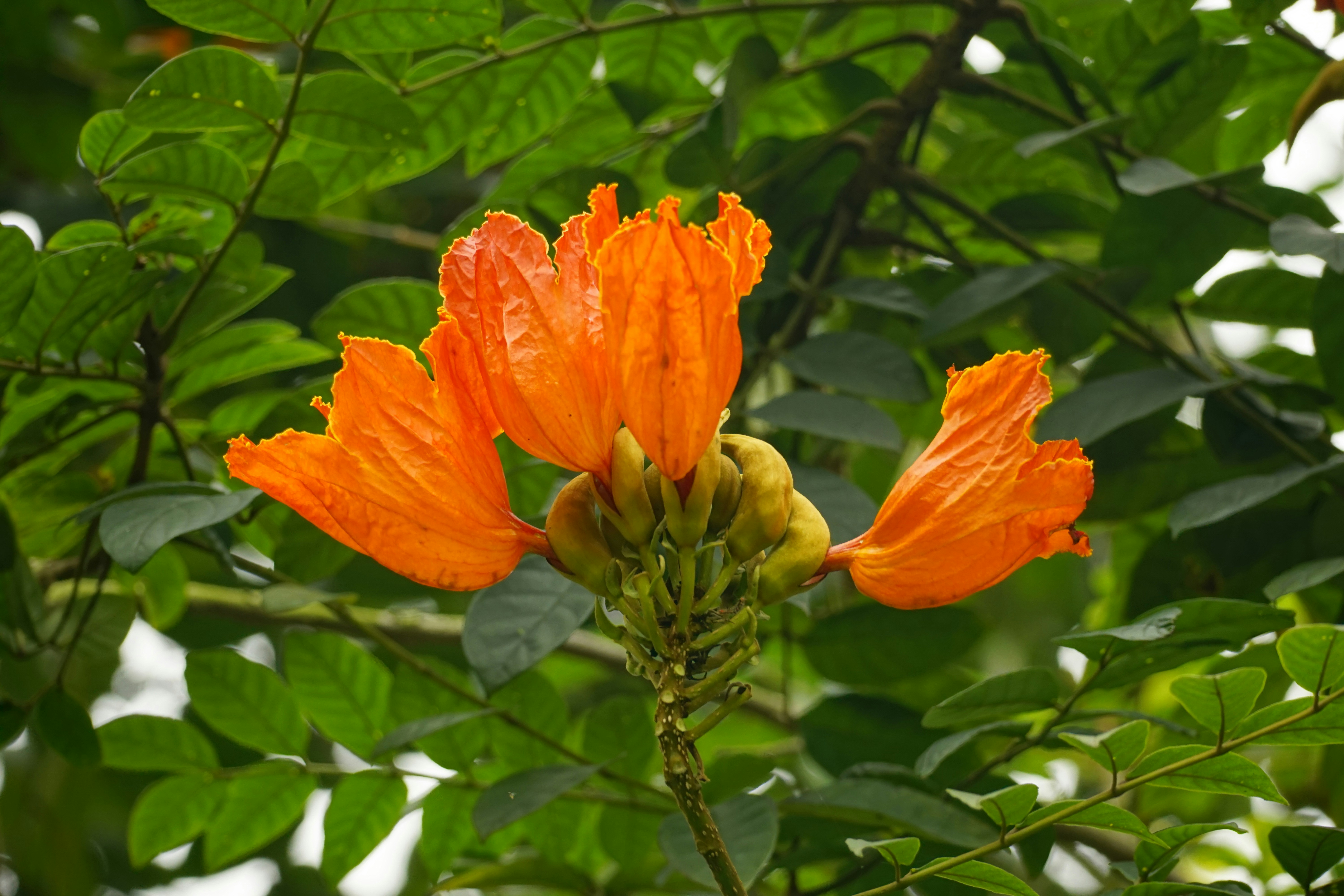 Photo by Duy Le Duc with Sony Alpha 6000