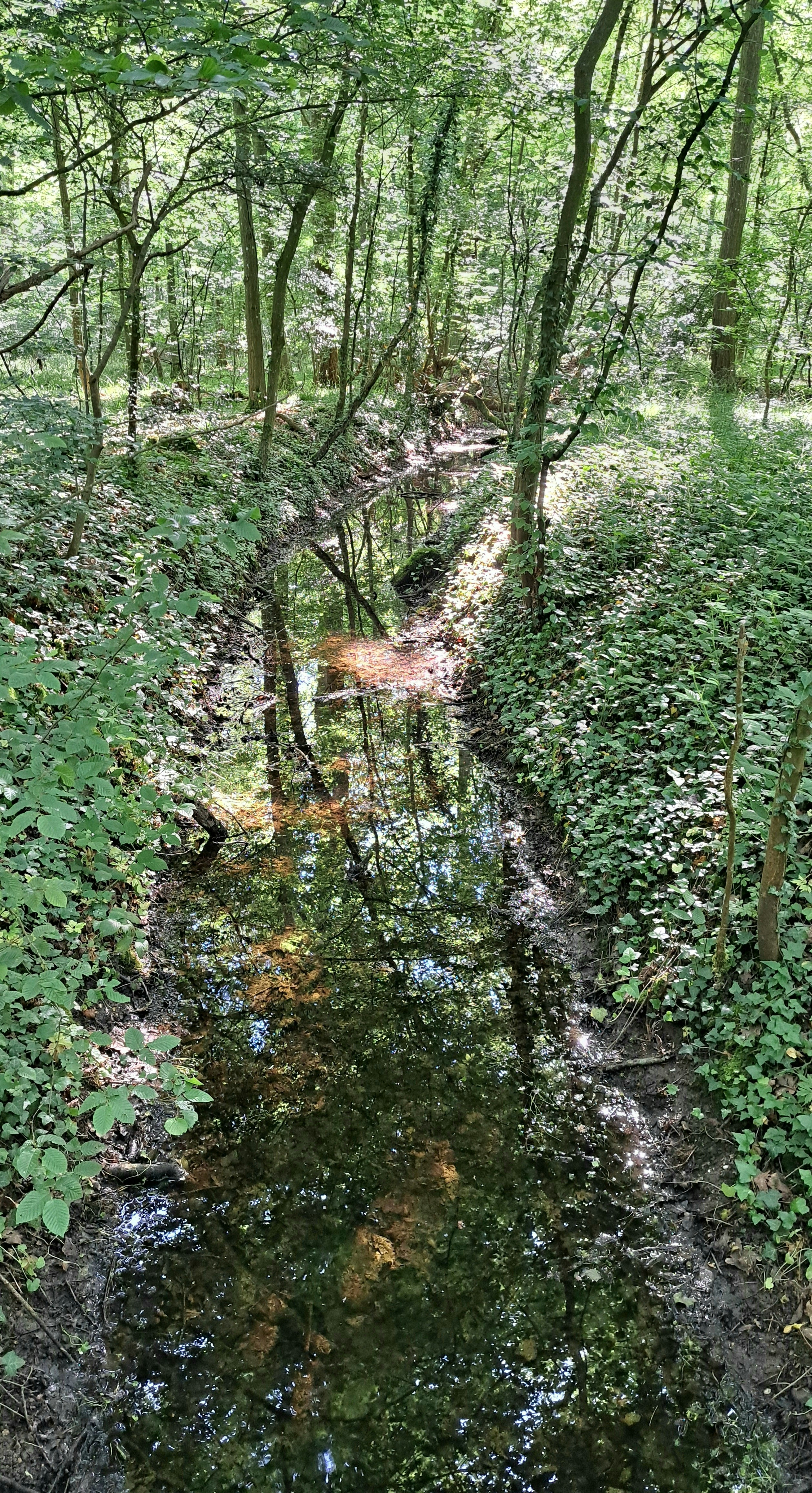 Photo by Michael Schreiber with Samsung Galaxy A53