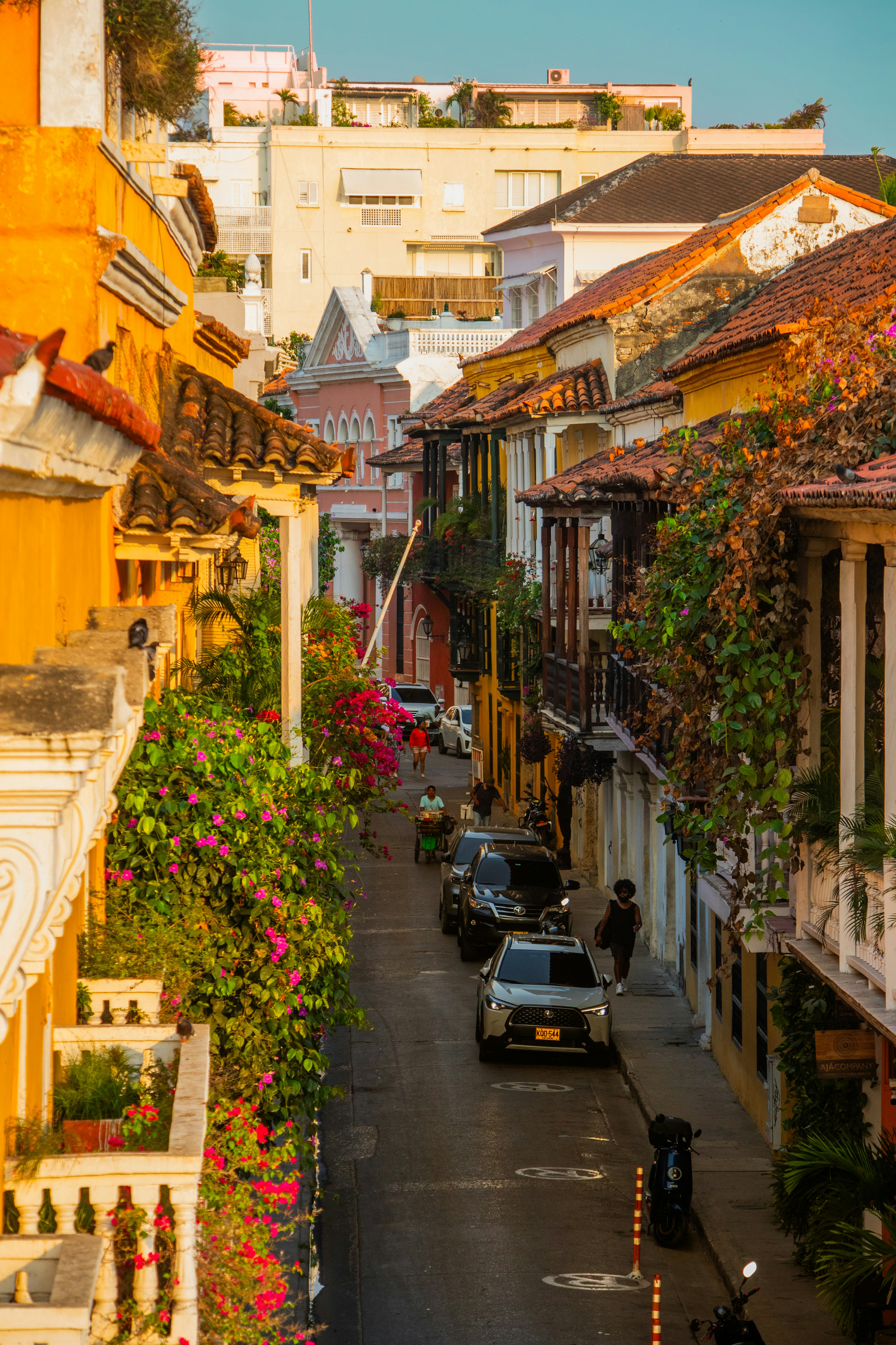 Photo by Jimmy Woo with Canon EOS M50