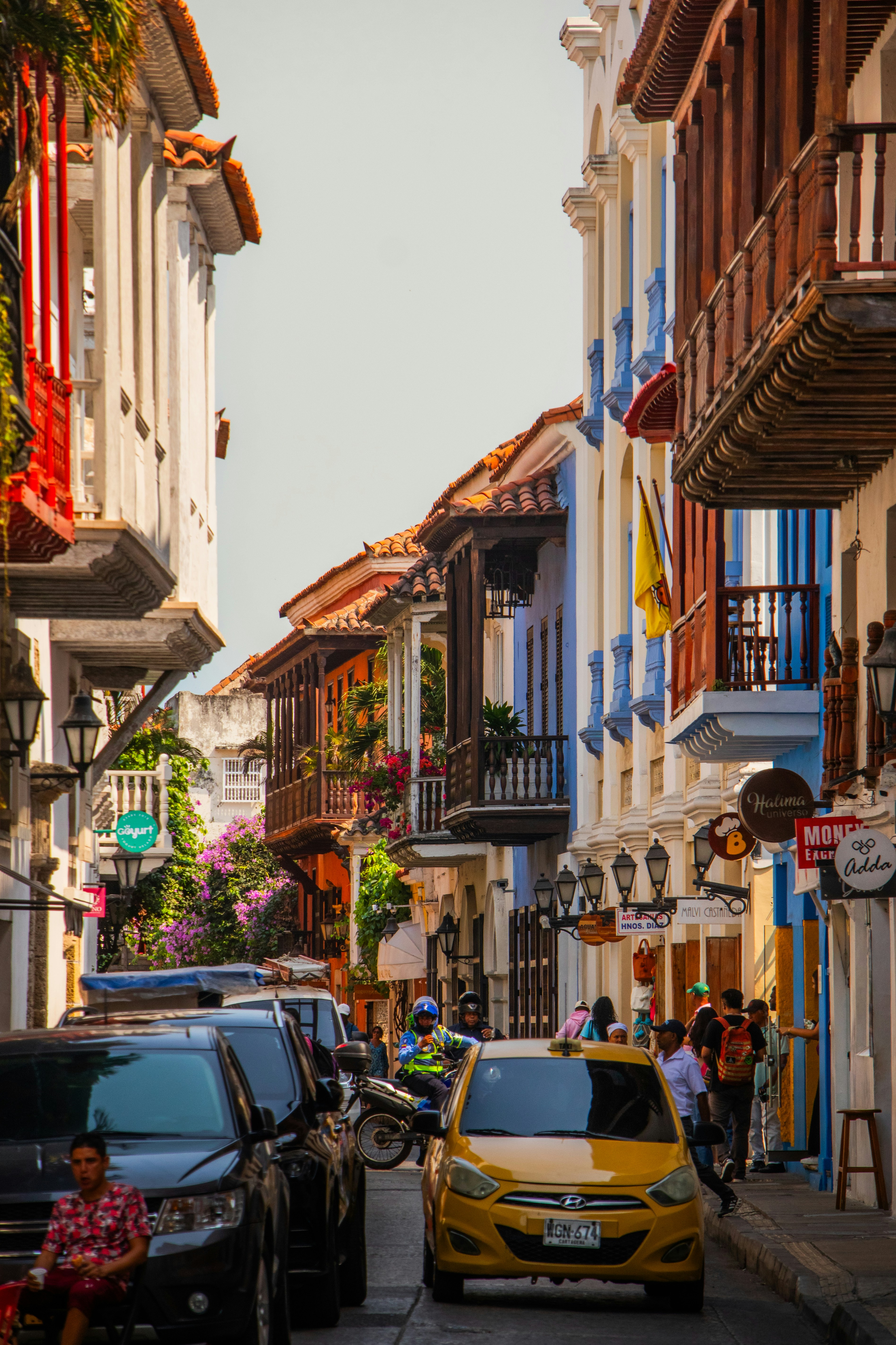 Photo by Jimmy Woo with Canon EOS M50