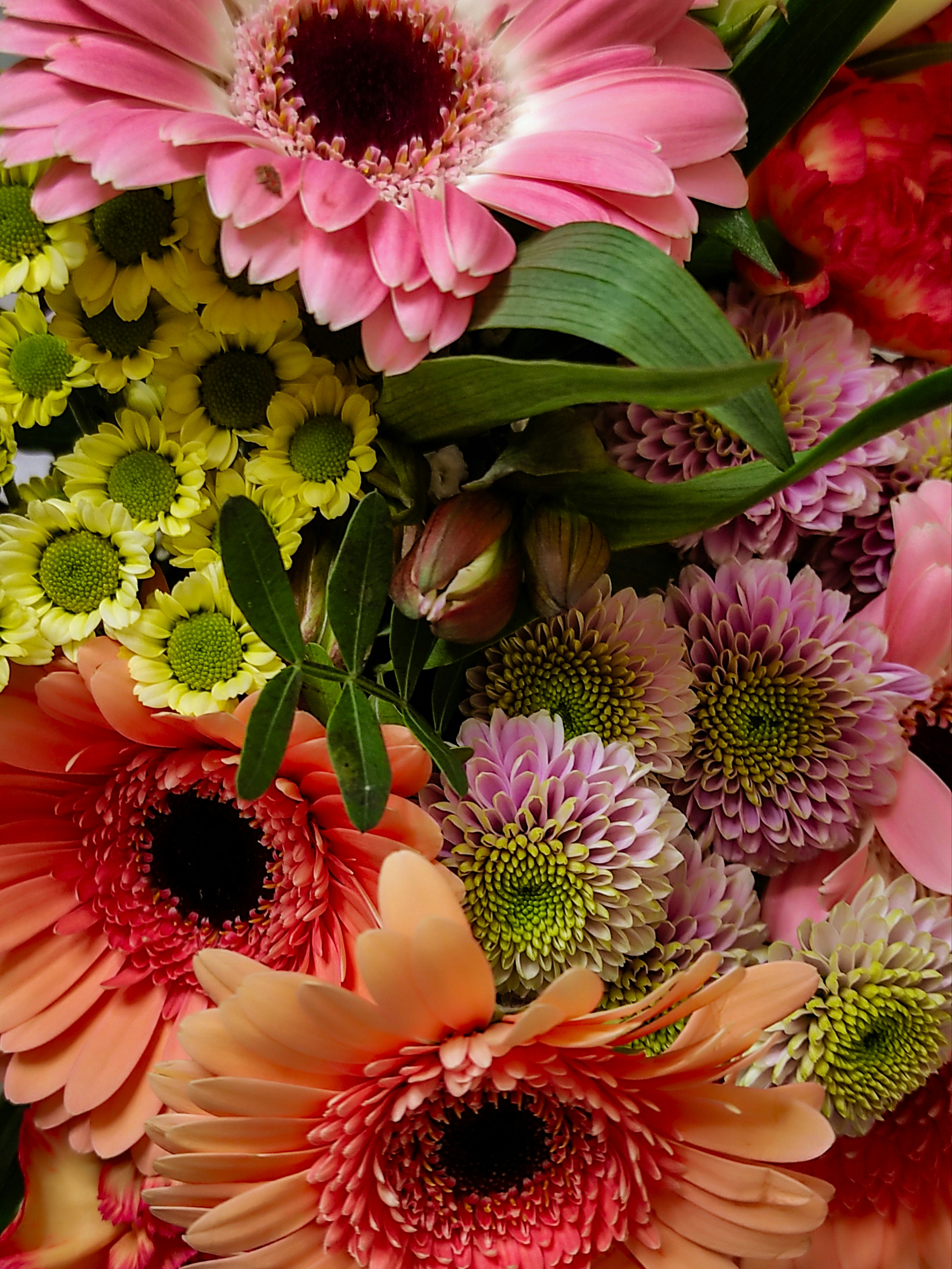 Vibrant arrangement of various flowers, including pink gerberas and yellow chrysanthemums, showcasing their intricate details and rich colors.