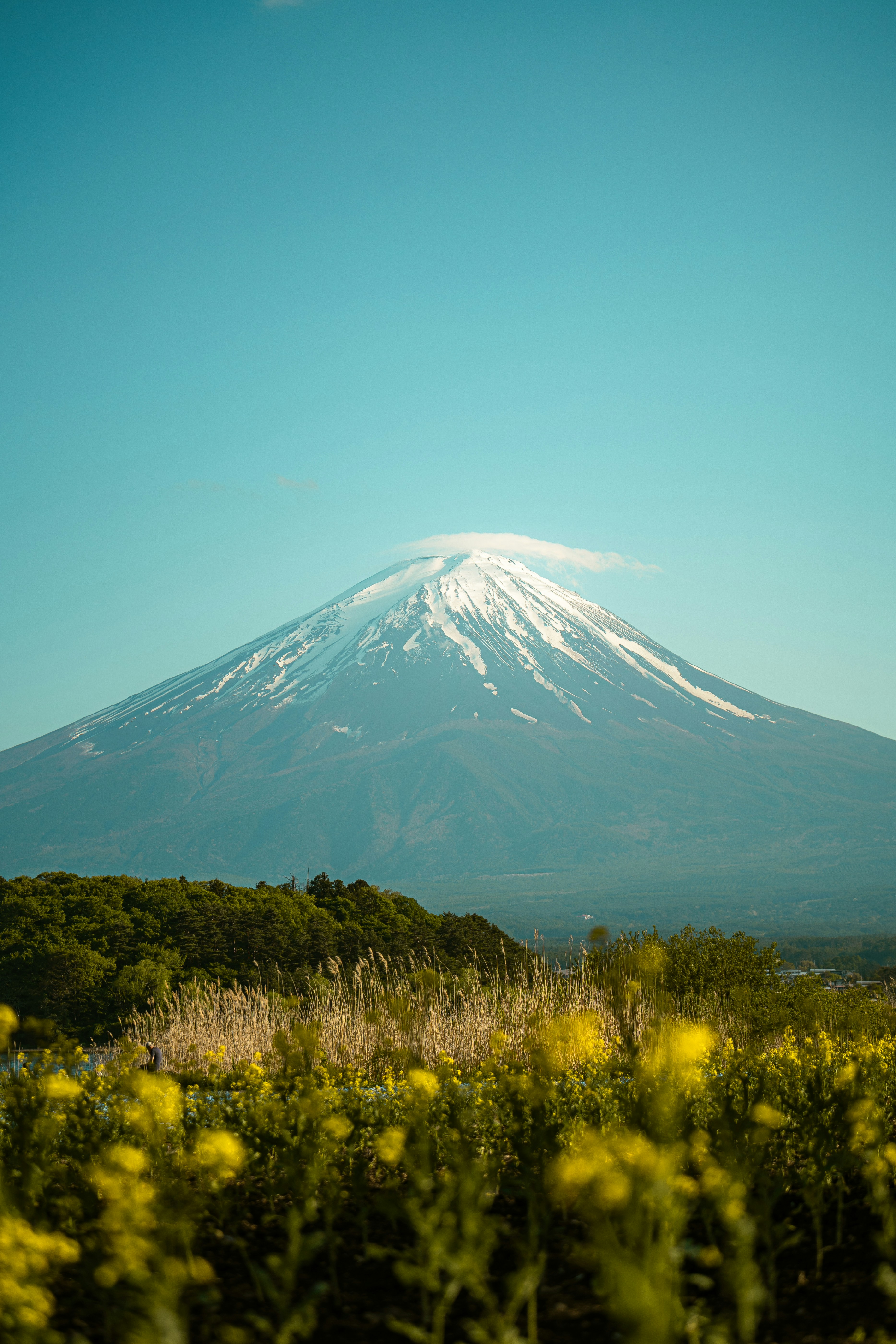 Breathtaking mount Fuji | a mountain with a snow capped peak in the distance