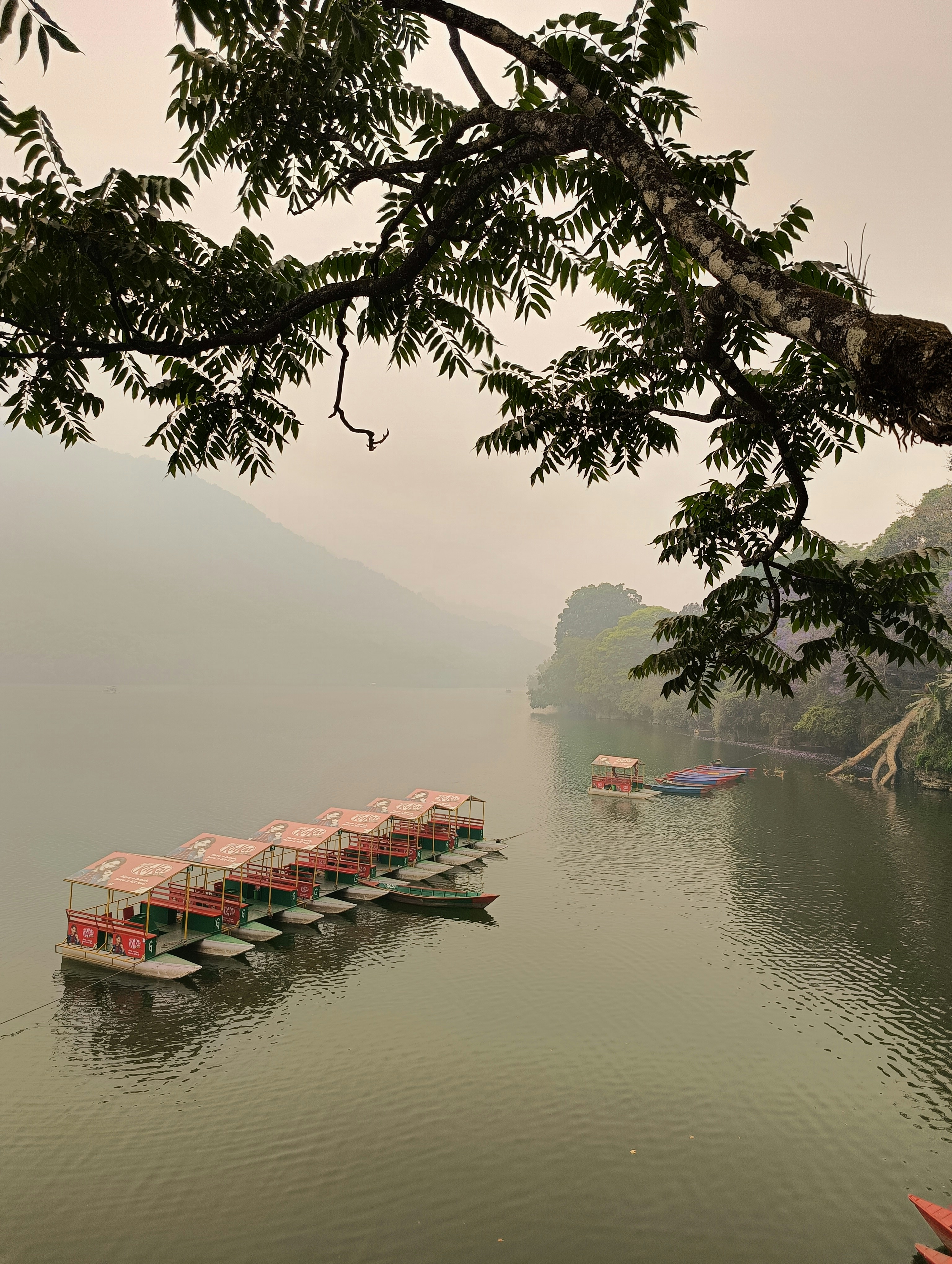 Misty river scene with a row of red boats moored along calm water, framed by overhanging tree branches.