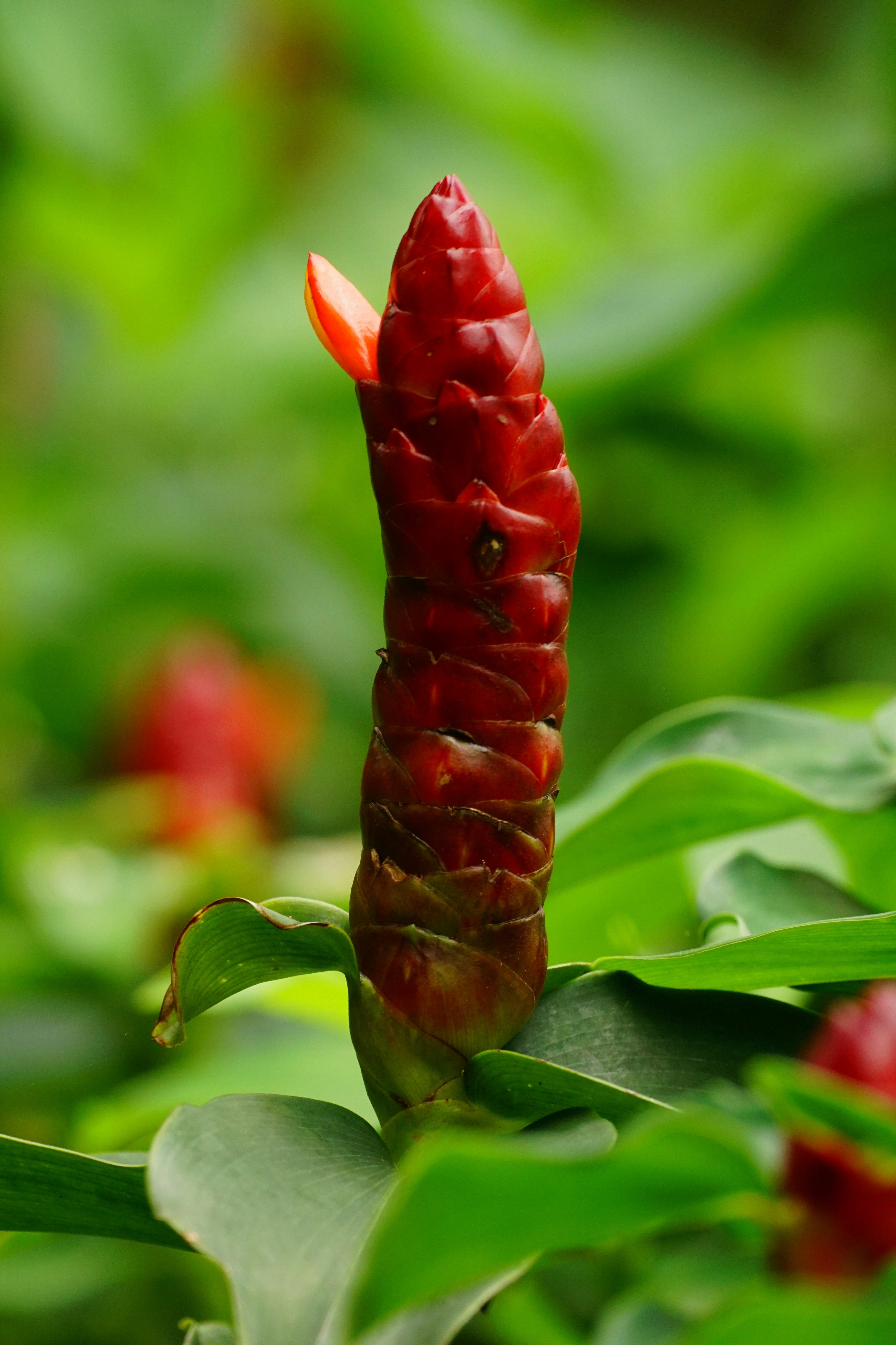 Photo by Duy Le Duc with Sony Alpha 6000