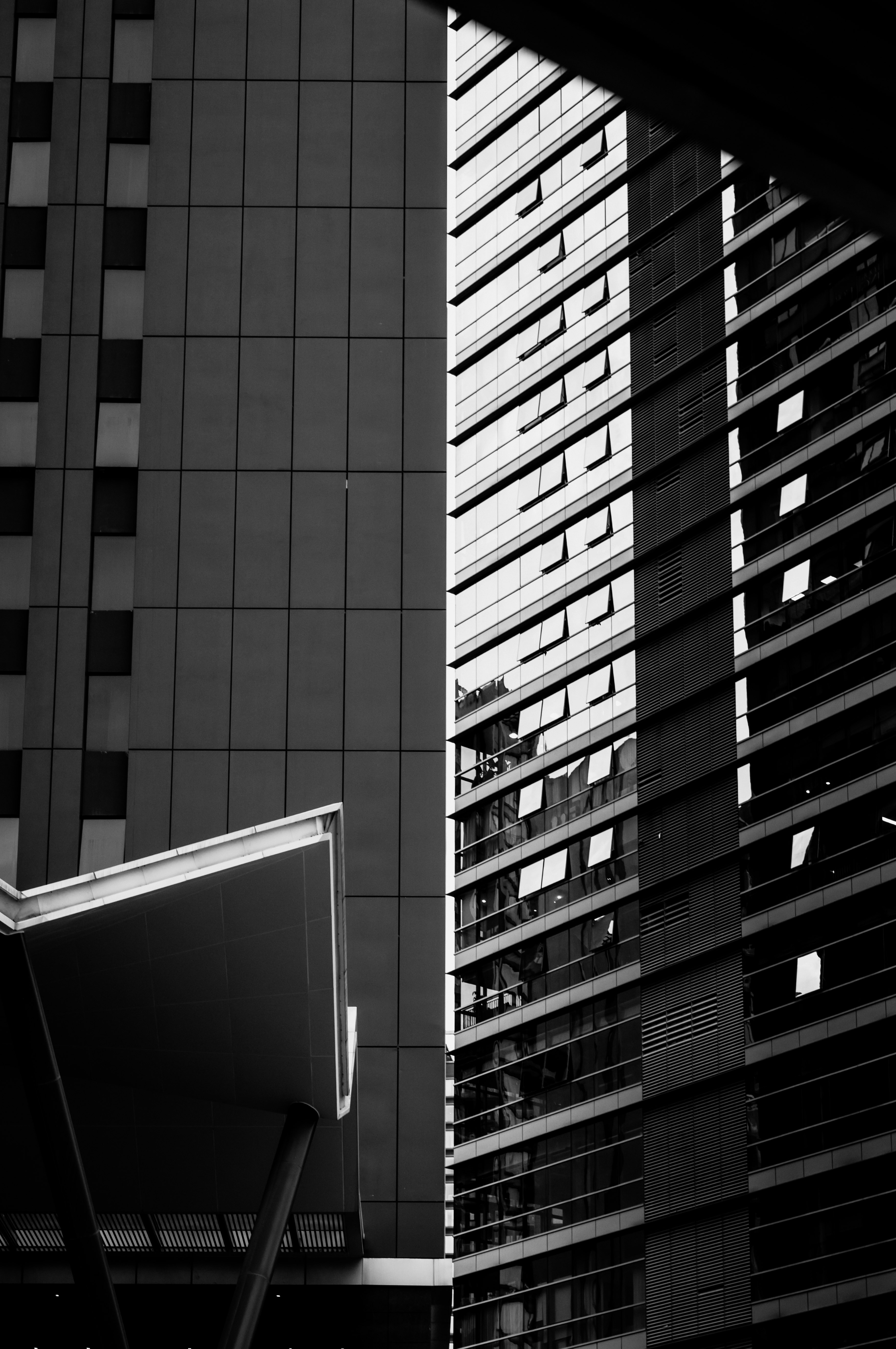 Photo by Xingchen Yan with Leica M11