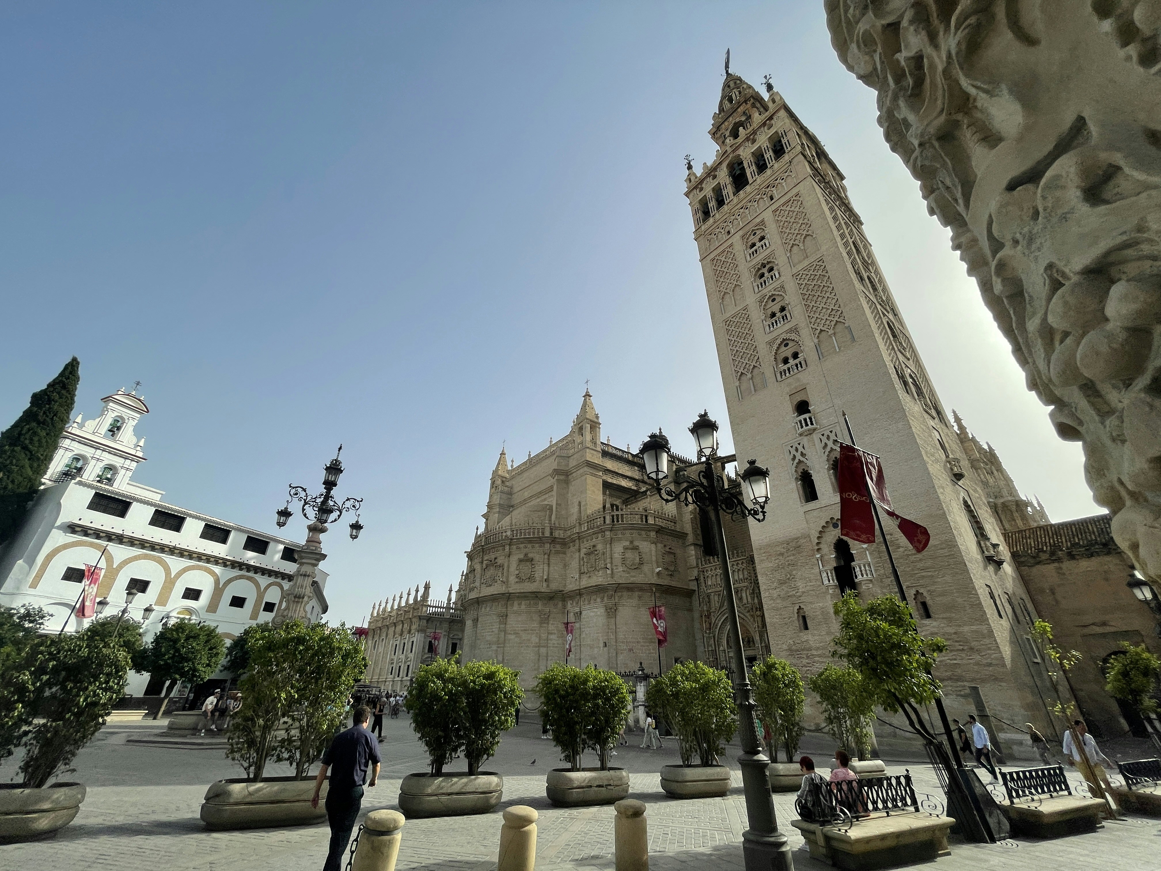 Seville Cathedral towers over the plaza, framed by historic architecture and vibrant greenery under a clear blue sky.