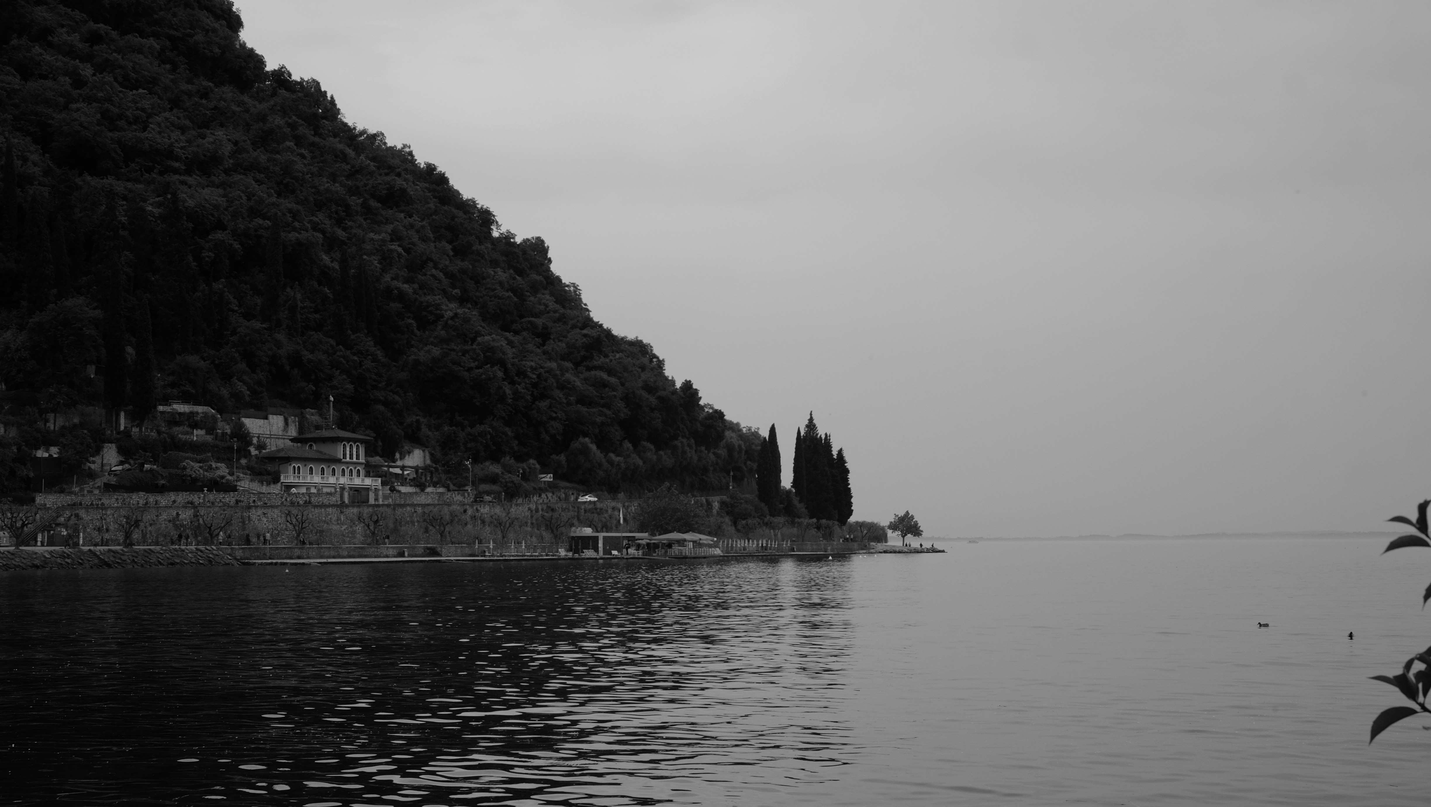 Hillside Village at Dusk: A Monochrome Lakeside Moment