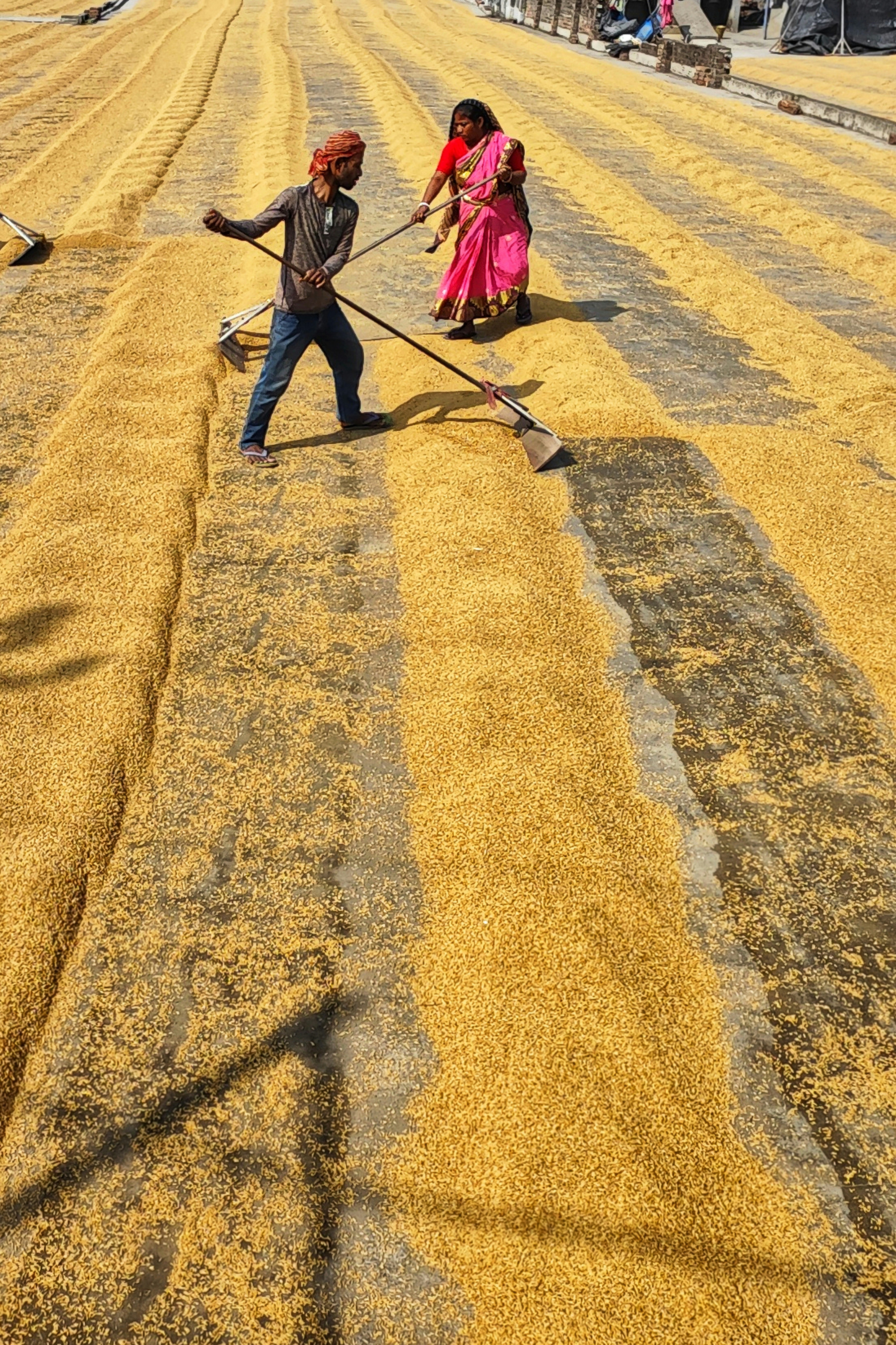 Photo by Dibakar Roy with Xiaomi 13 Pro