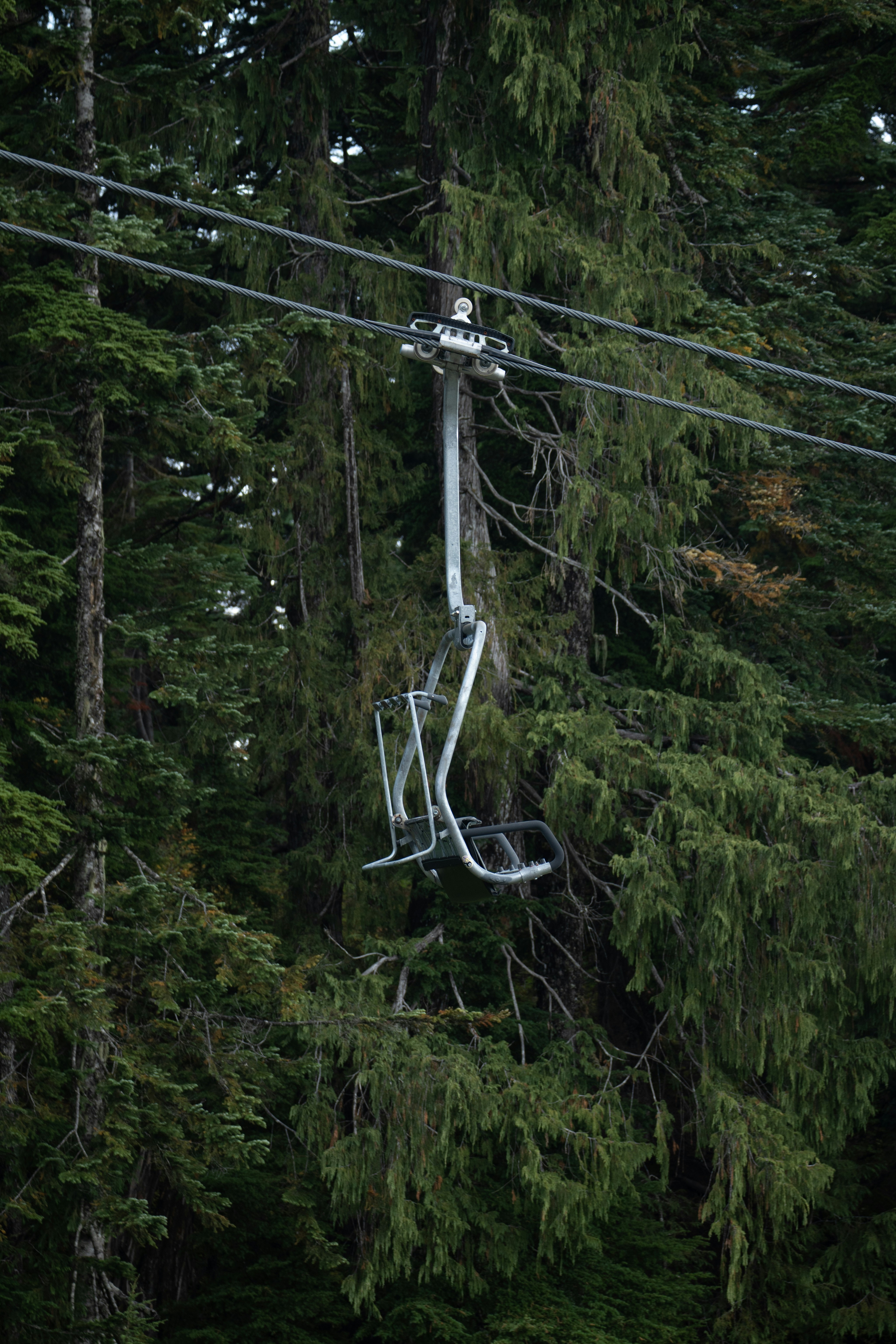 Suspended in Quiet Pines: The Lone Ski Chair