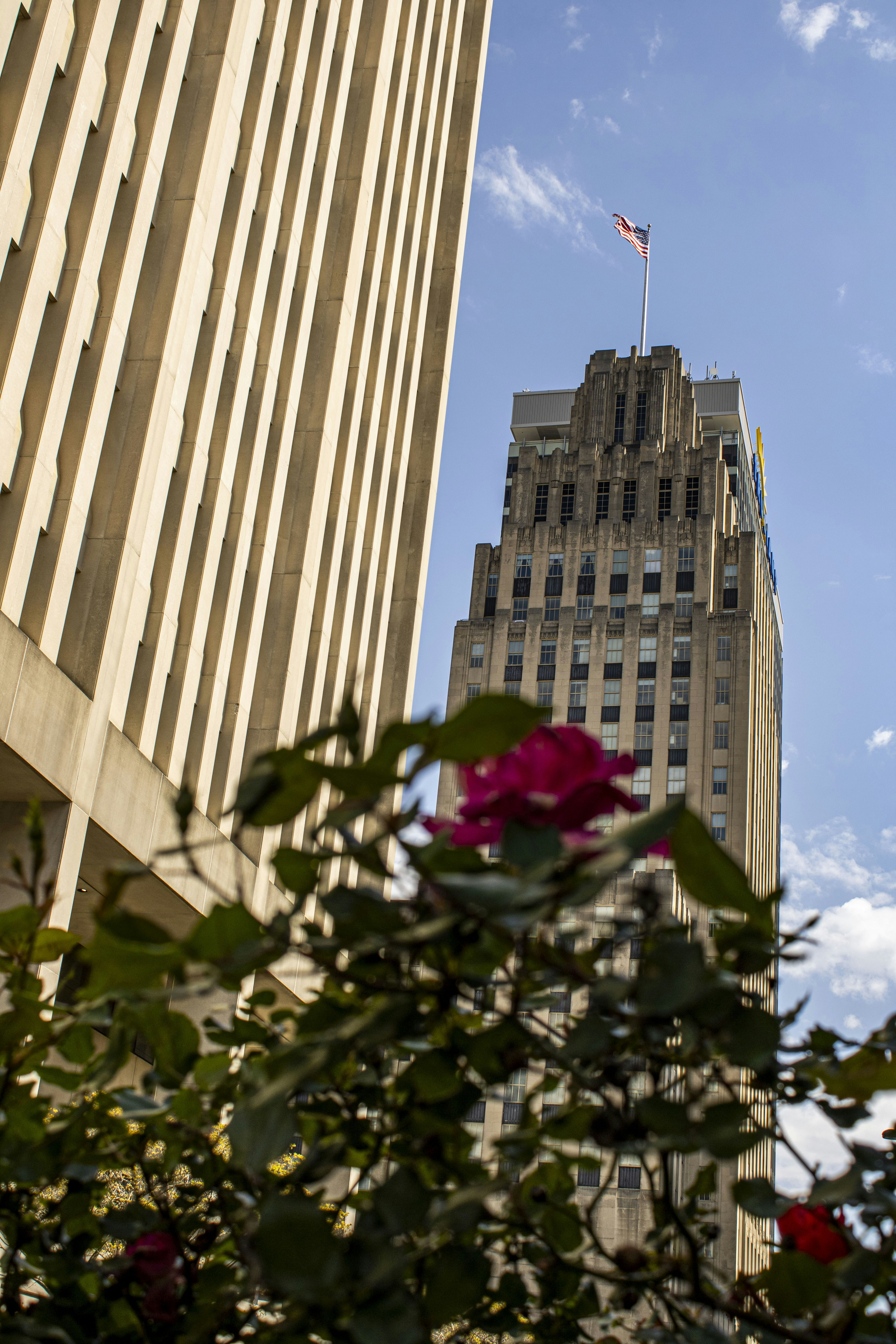 Rose-Framed Skyline: A Flag-Topped Art Deco Tower Rises Over a City Garden