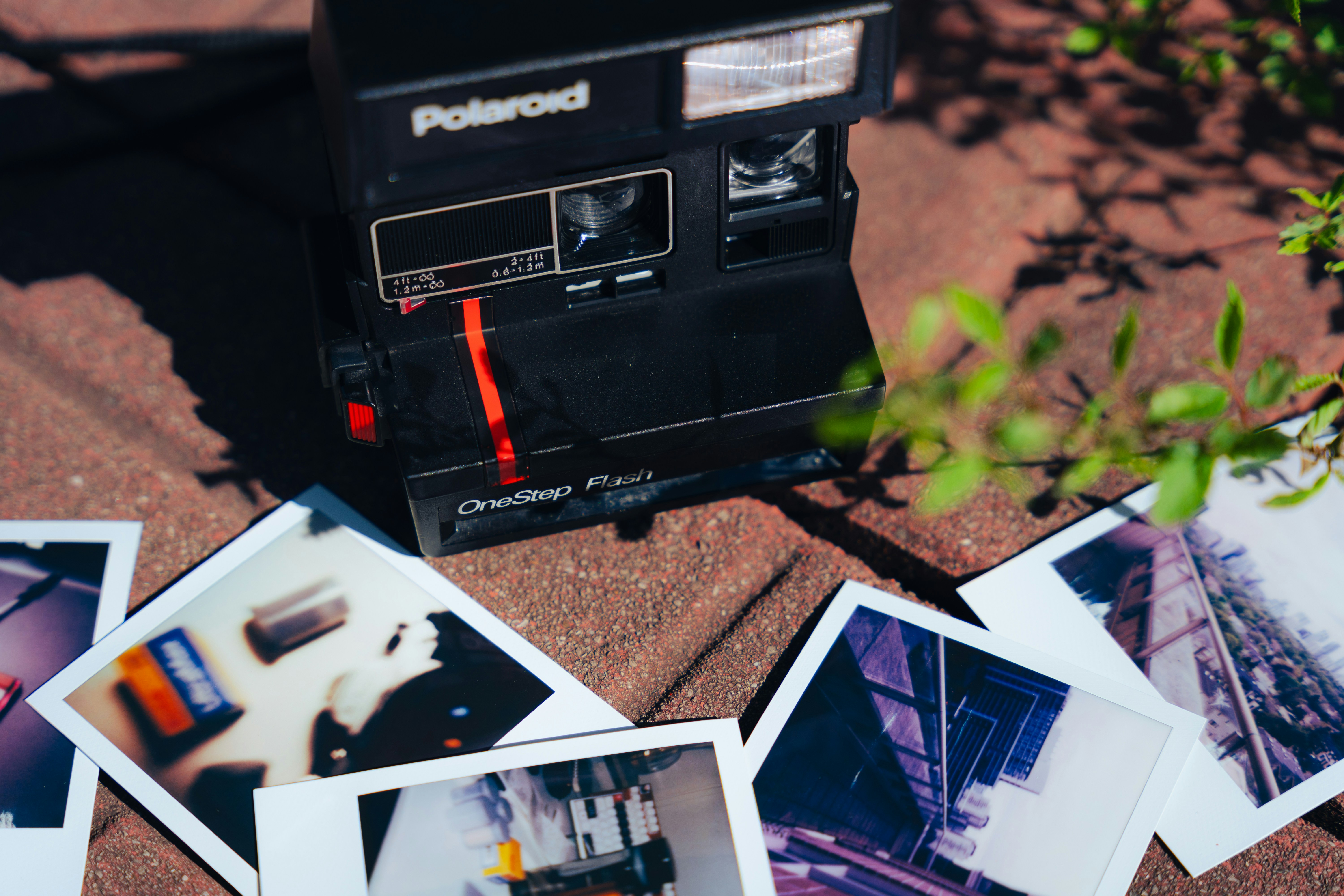 Polaroid Echoes: A Camera Among Scattered Moments
