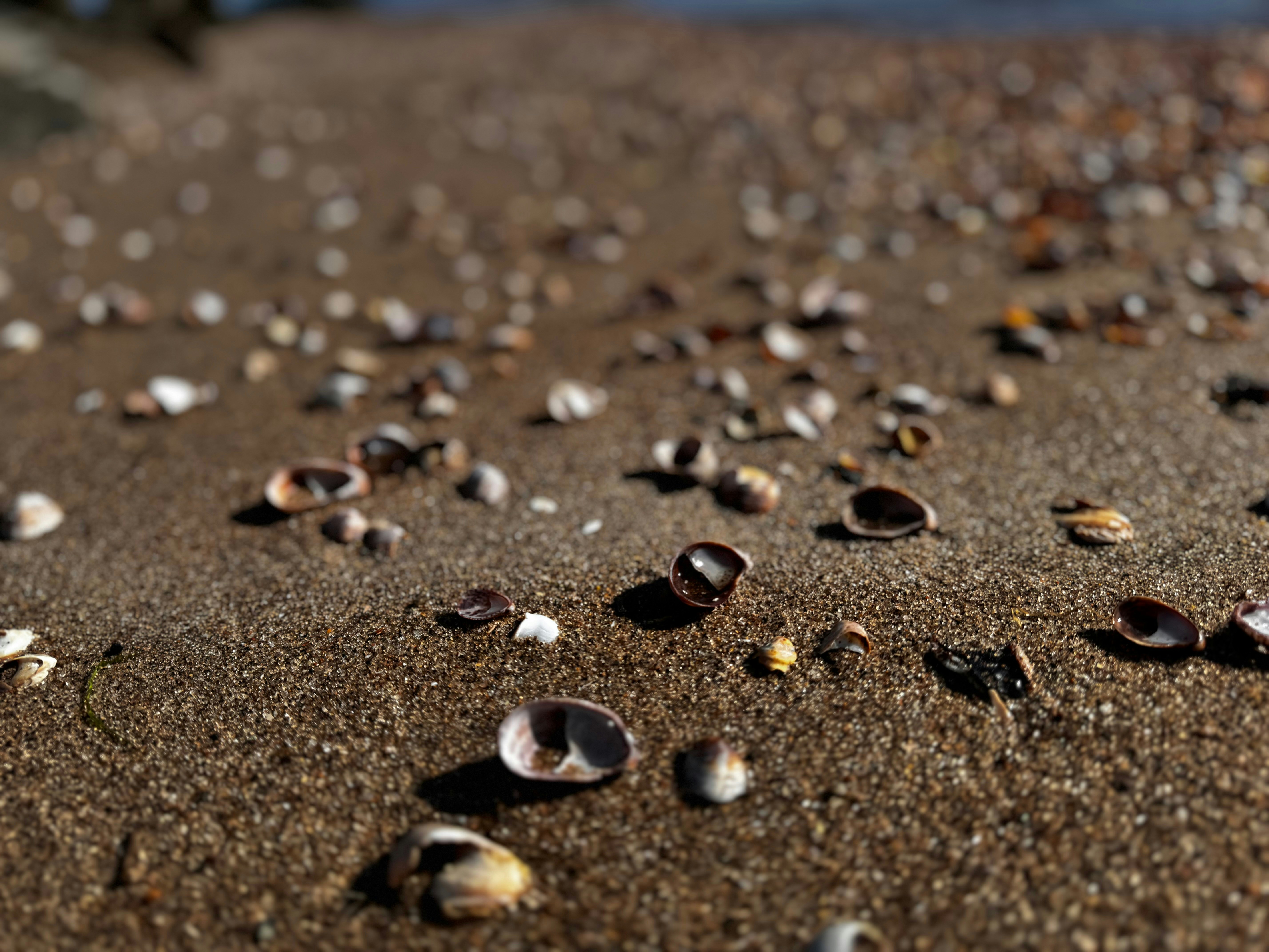 Cosey beach, east haven, CT.