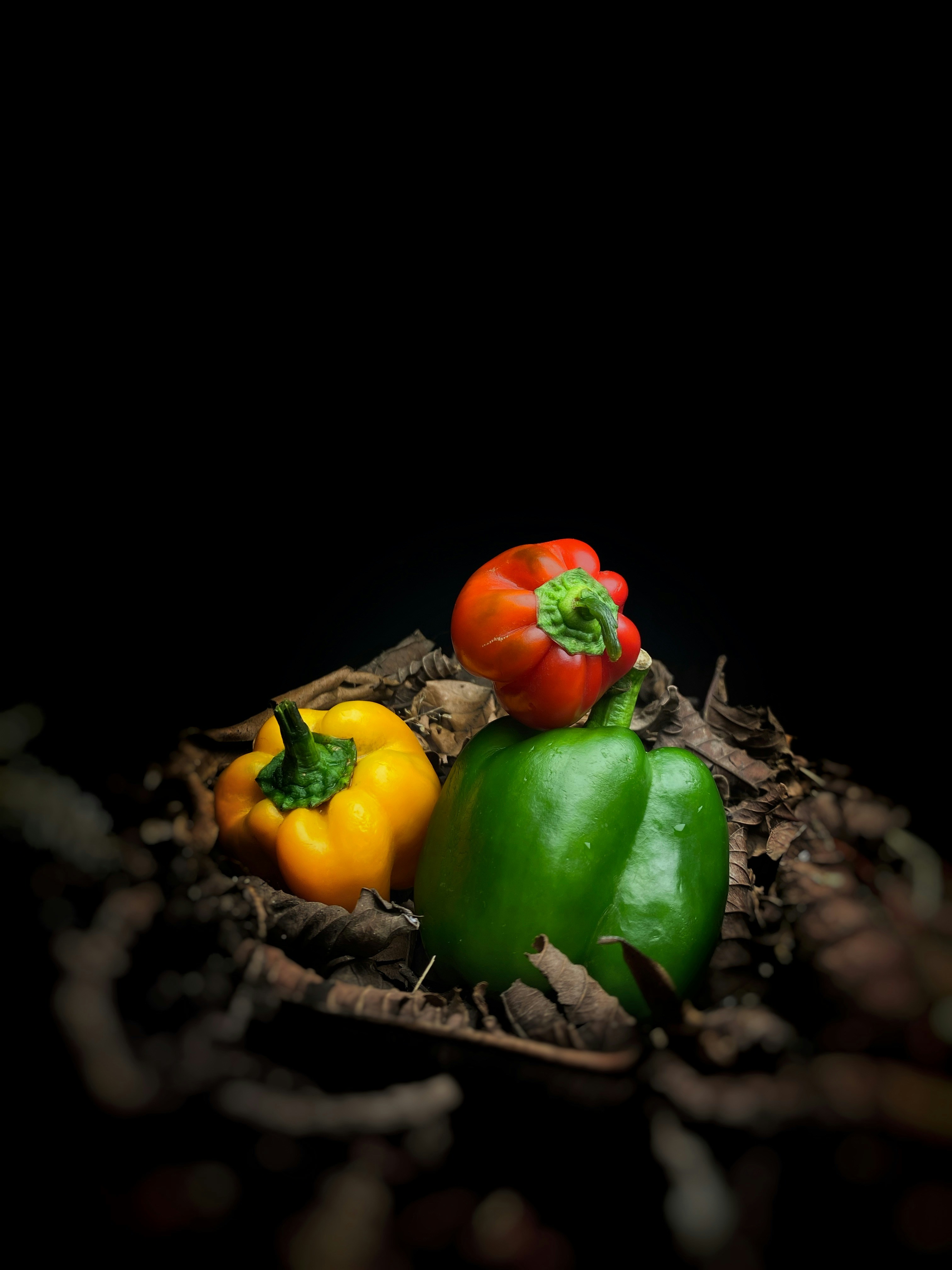 Triple Bell Pepper Still Life in a Dark Spotlight